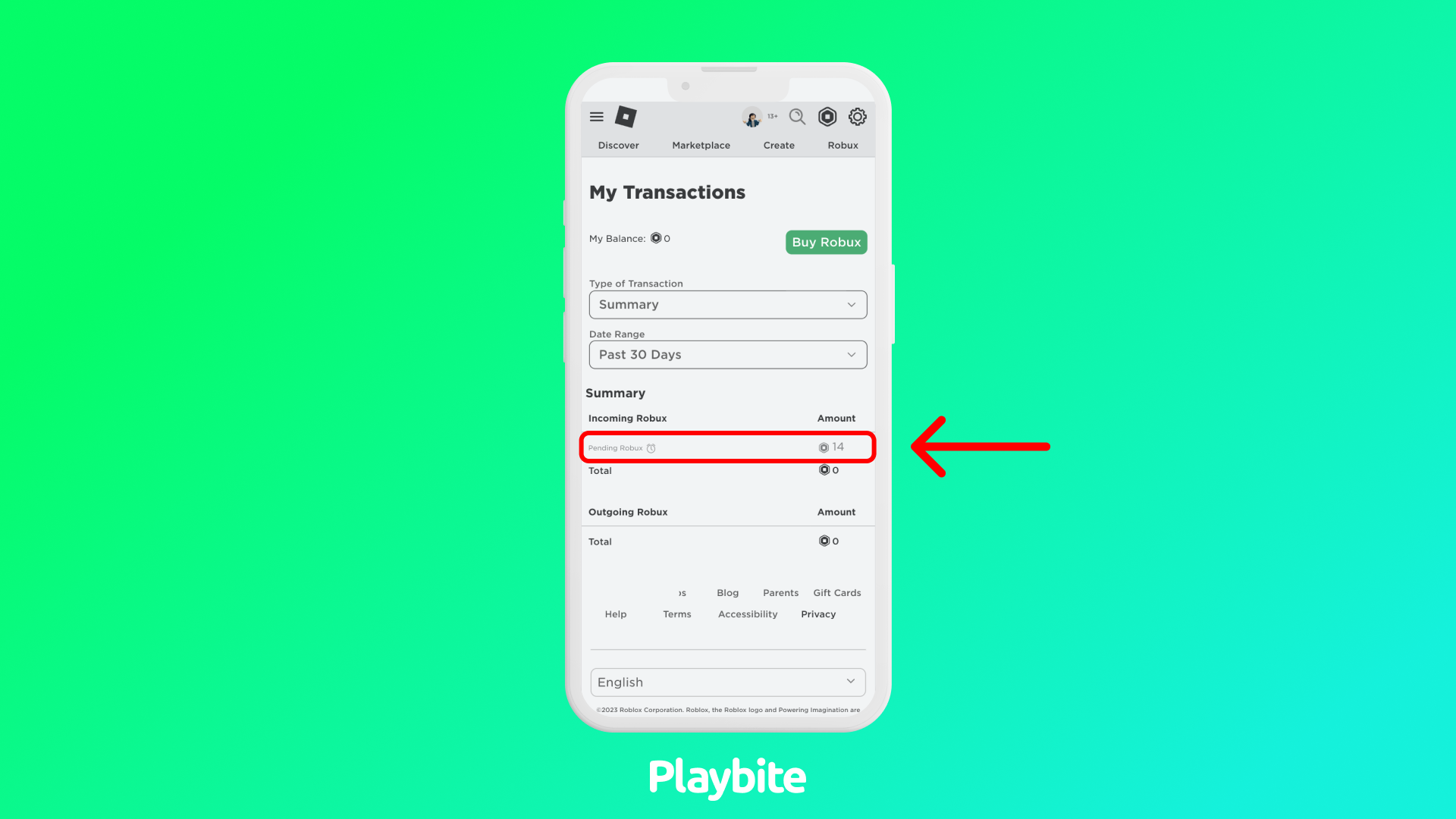 How Long Does Pending Robux Take? - Playbite