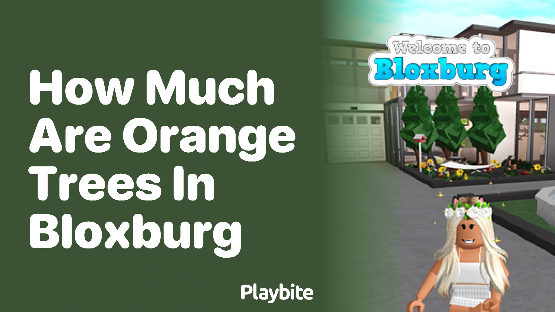 How Much Are Orange Trees in Bloxburg? - Playbite