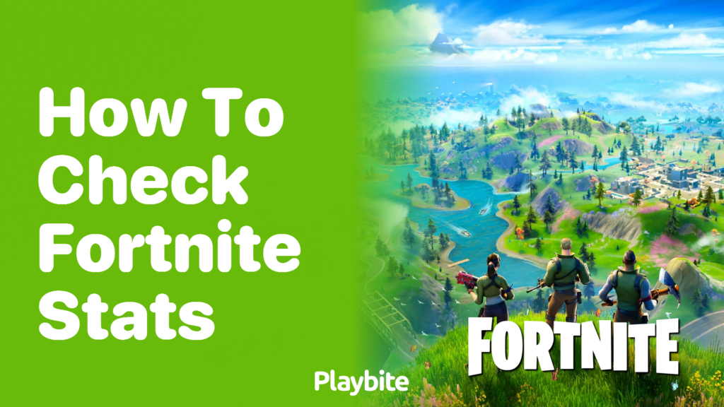 How to Check Your Fortnite Stats Easily - Playbite