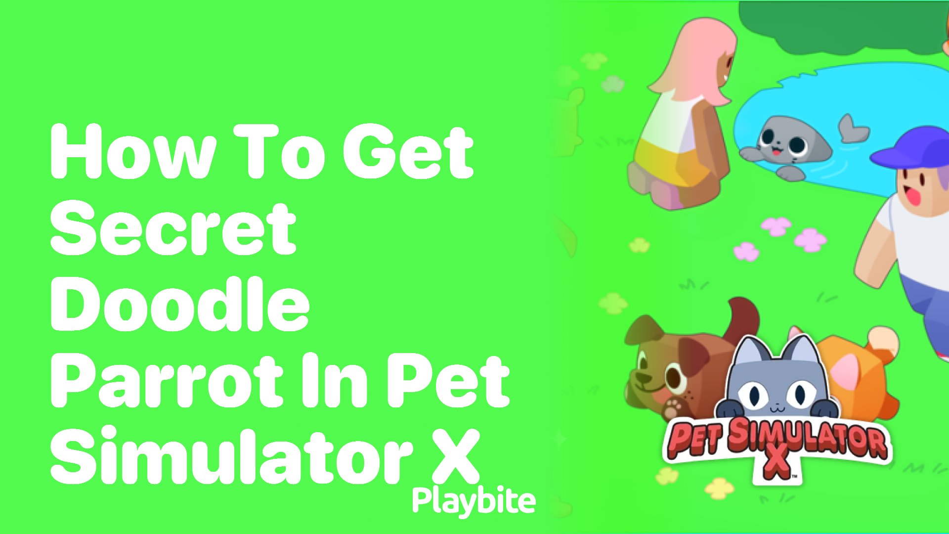 How to Get the Secret Doodle Parrot in Pet Simulator X - Playbite