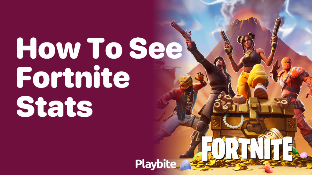 How to See Your Fortnite Stats Explained - Playbite
