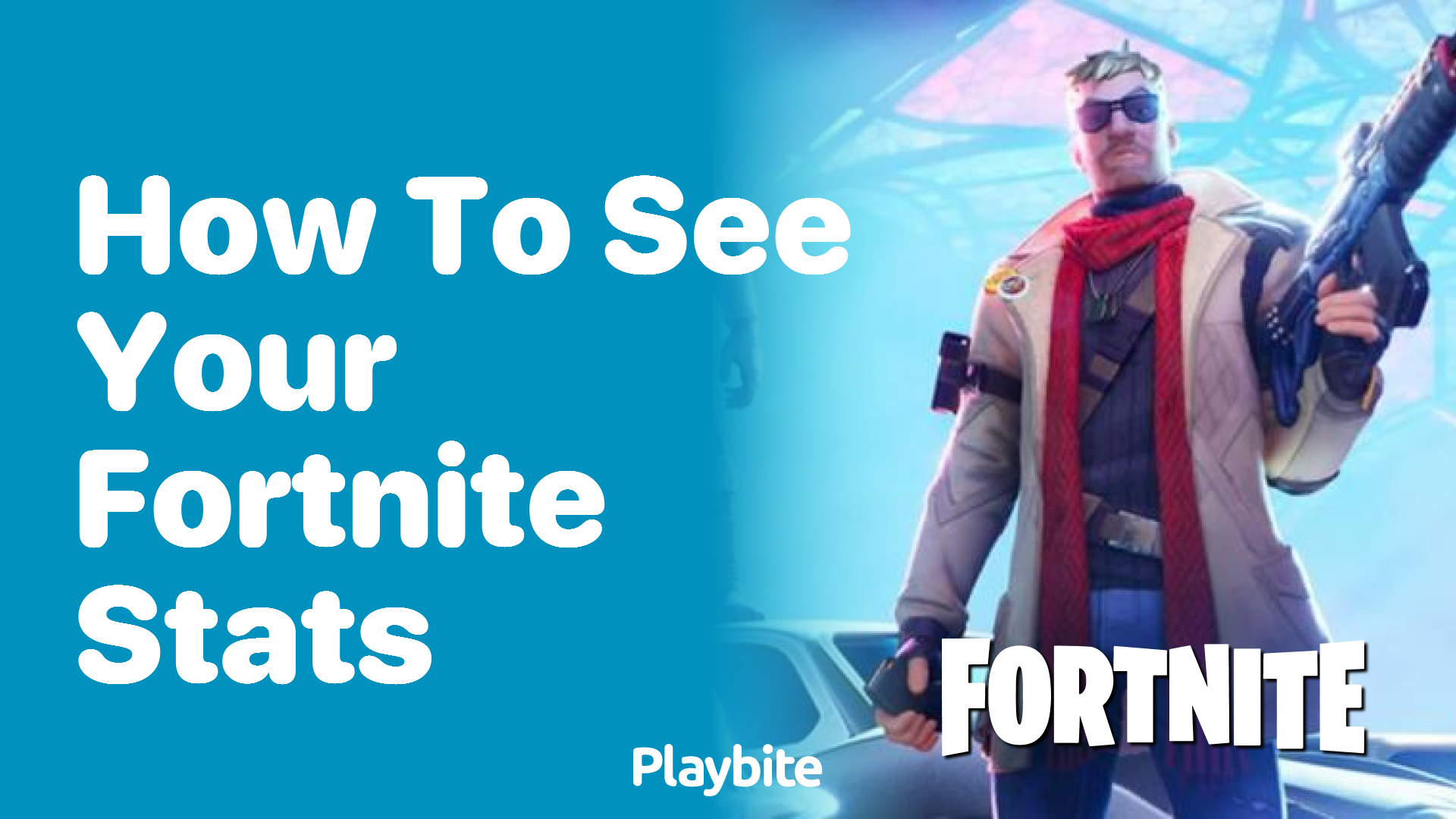 How to See Your Fortnite Stats: A Gamer's Guide - Playbite