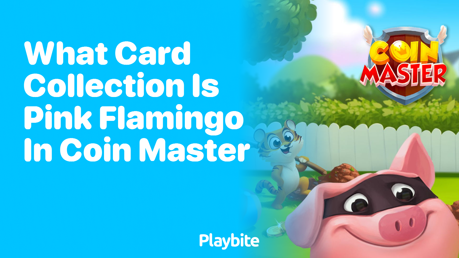 What Card Collection Is Pink Flamingo in Coin Master? - Playbite
