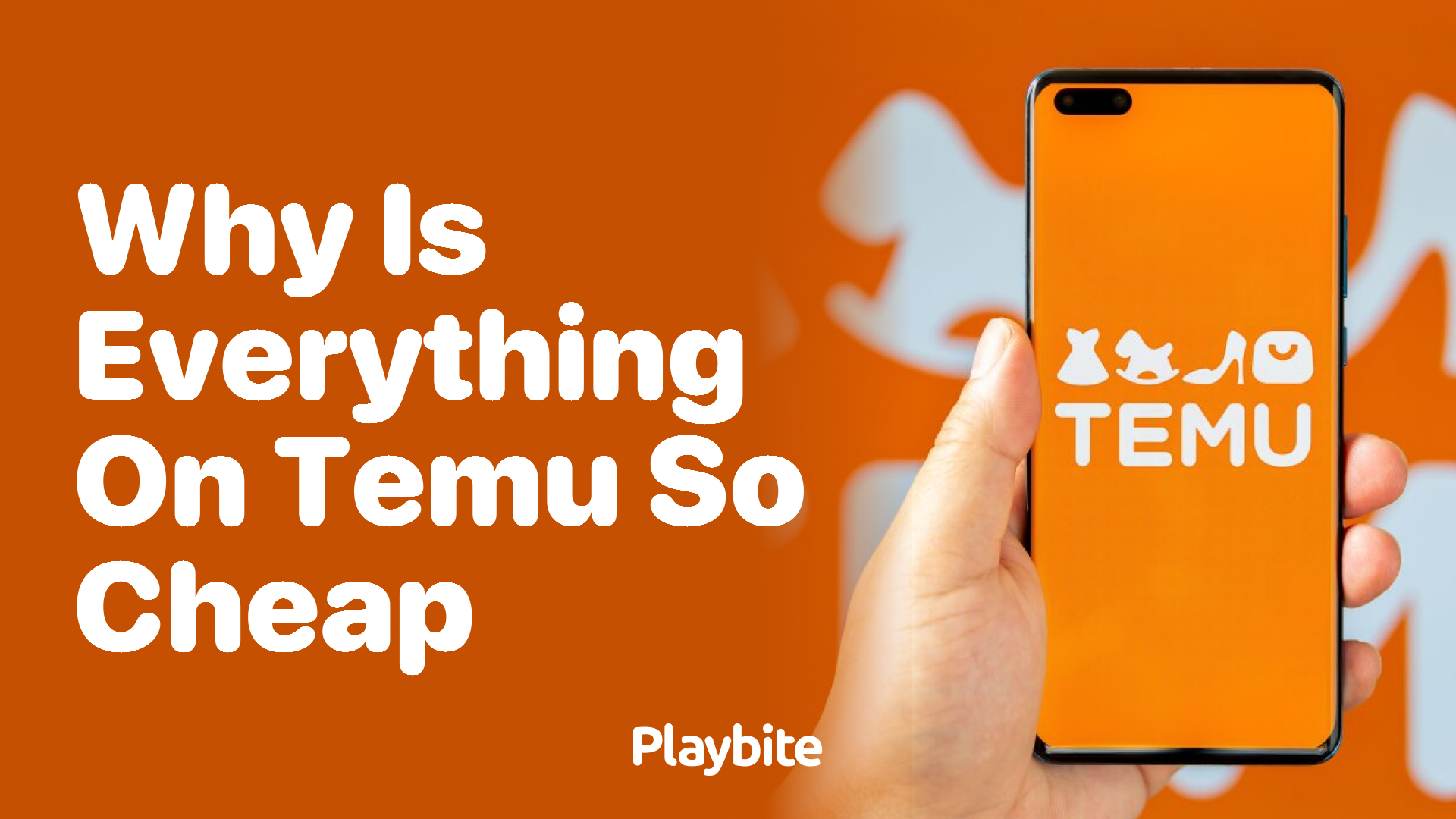 Why Is Everything on Temu So Affordable? - Playbite
