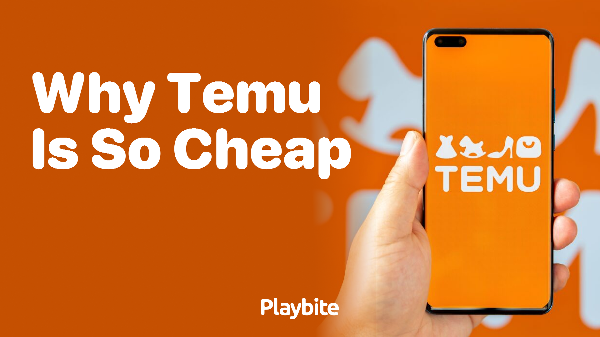 Why is Temu So Cheap? Unpacking the Secrets Behind Its Prices - Playbite