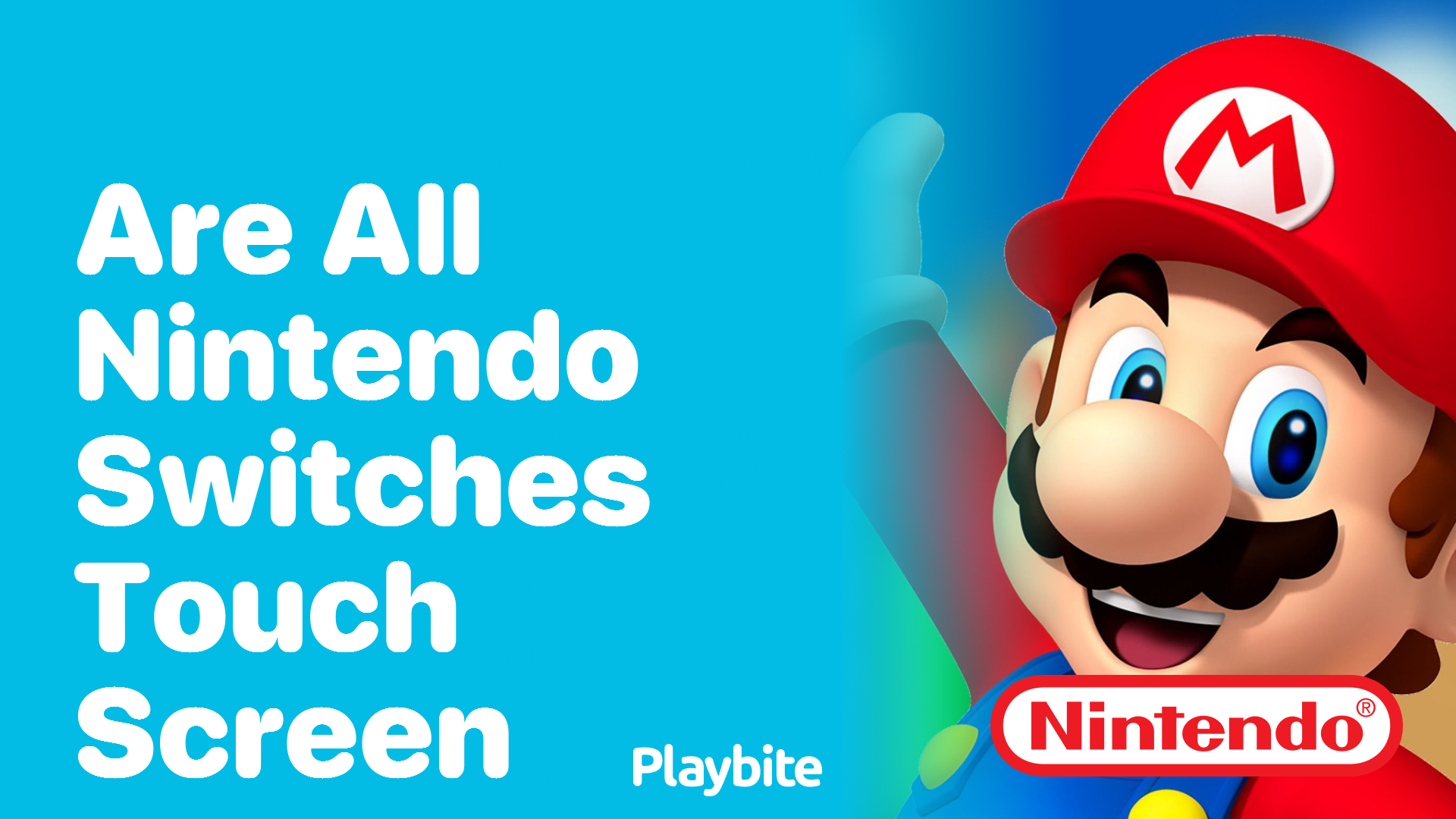 Are all Nintendo Switches Touch Screen? Find Out Here! - Playbite