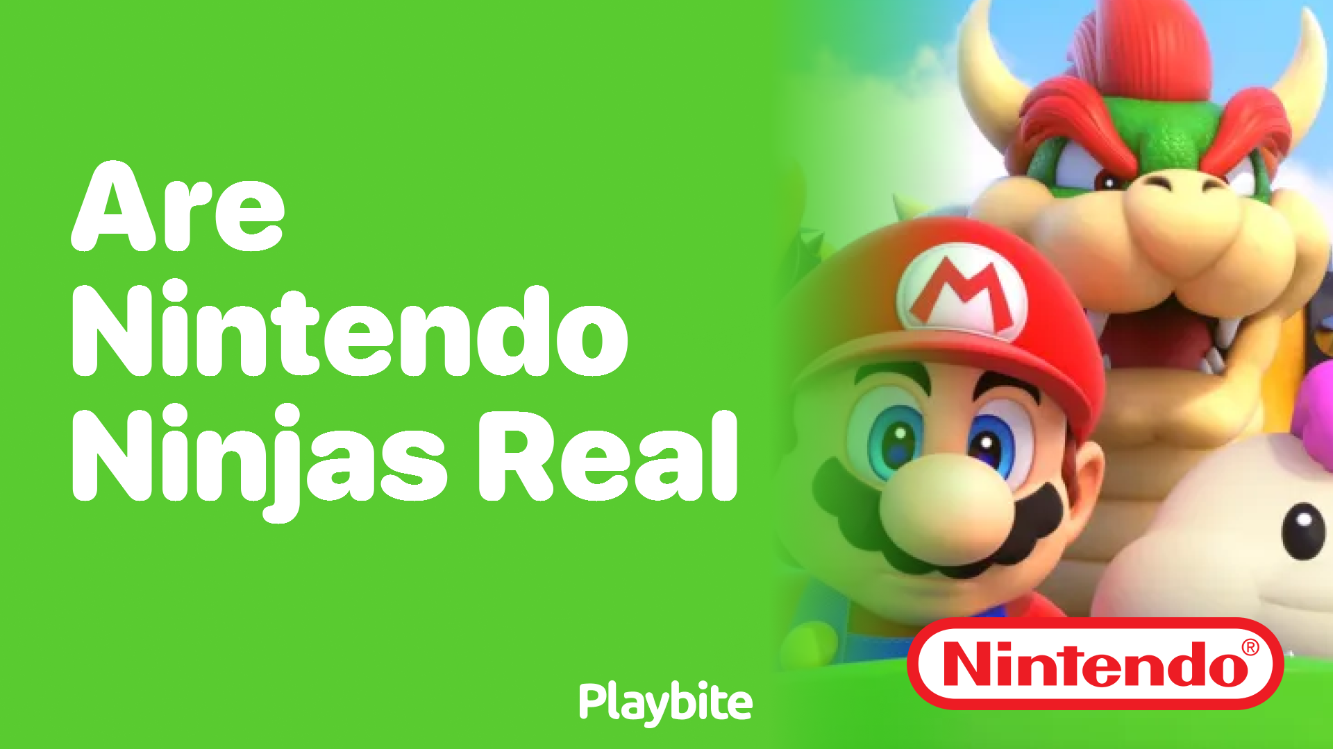 Are Nintendo Ninjas Real? Unveiling the Mystery - Playbite