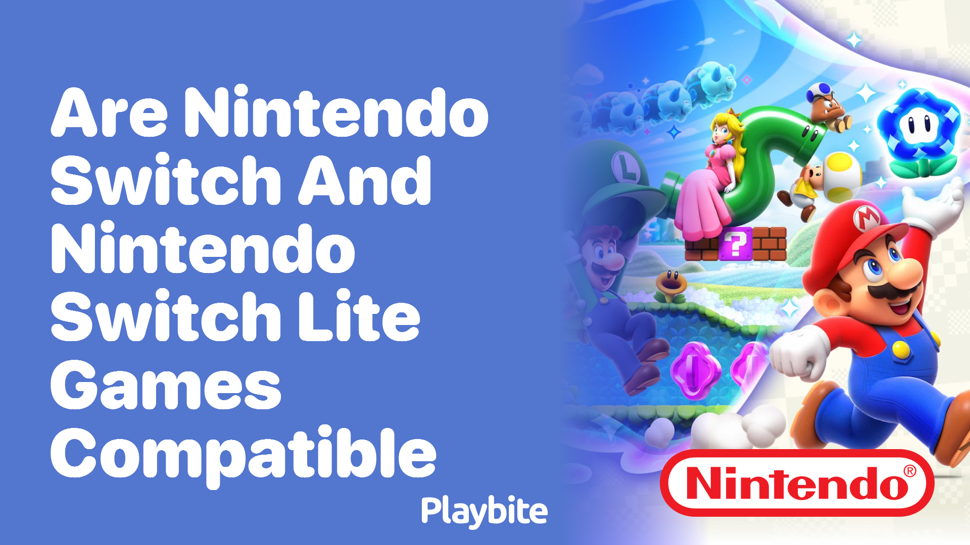Are Nintendo Switch and Nintendo Switch Lite Games Compatible? - Playbite