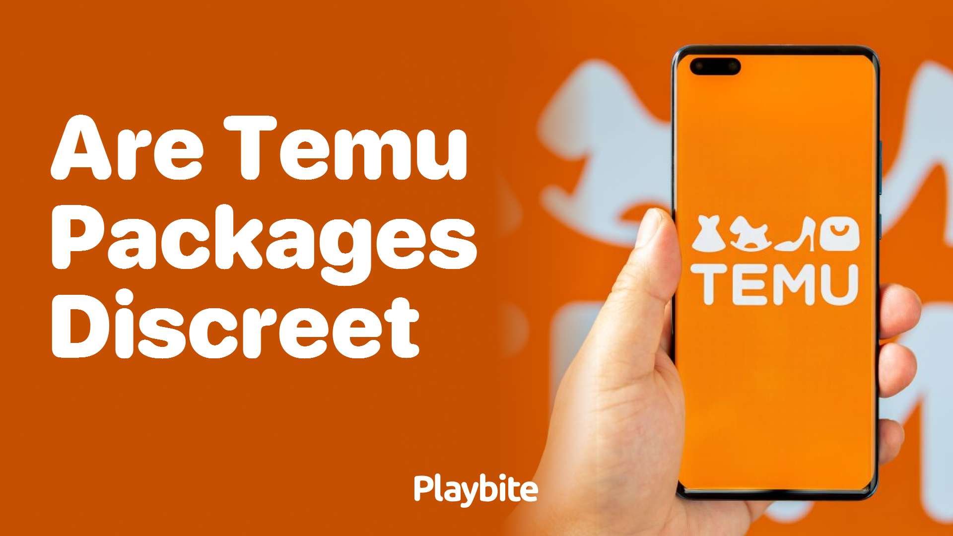 Are Temu Packages Discreet? - Playbite
