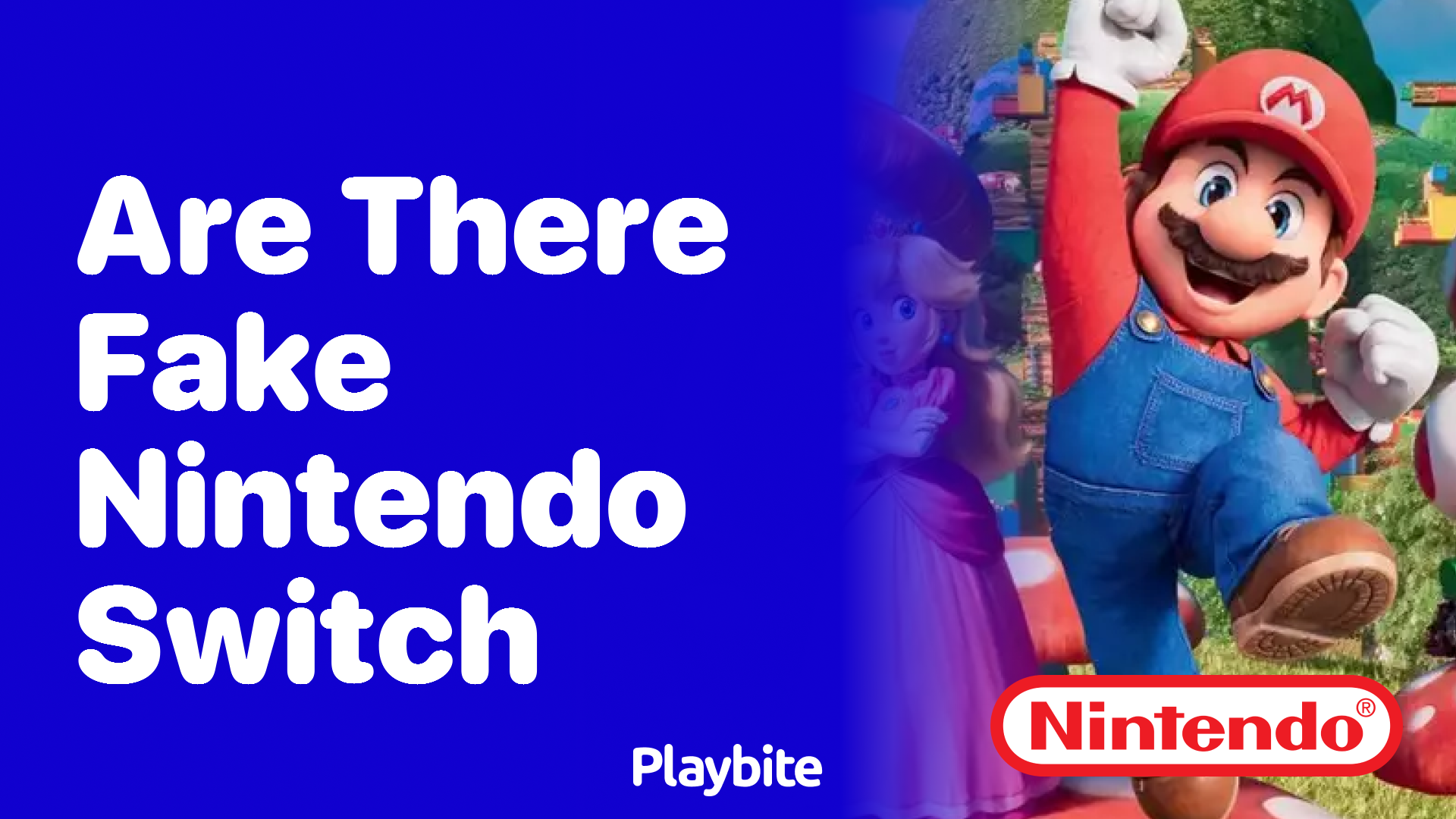 Are There Fake Nintendo Switch Consoles Out There? - Playbite