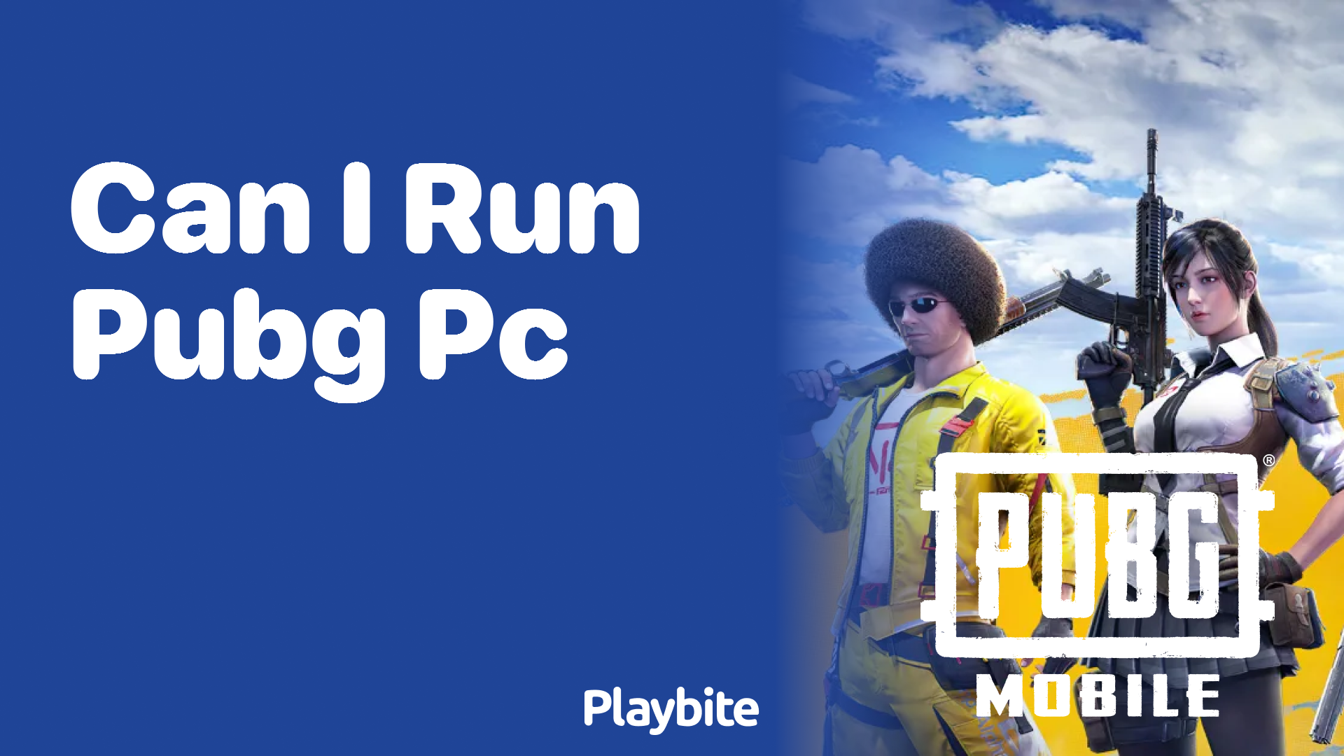Can I Run PUBG on My PC? Let's Find Out! - Playbite