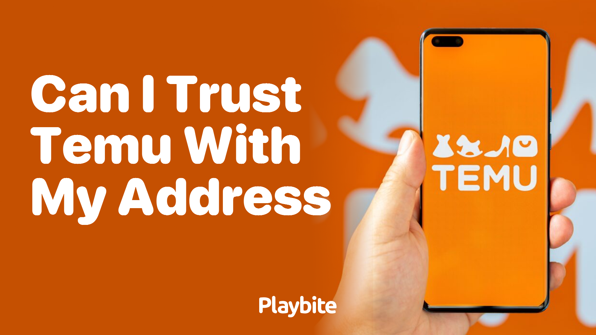 Can I Trust Temu with My Address? - Playbite