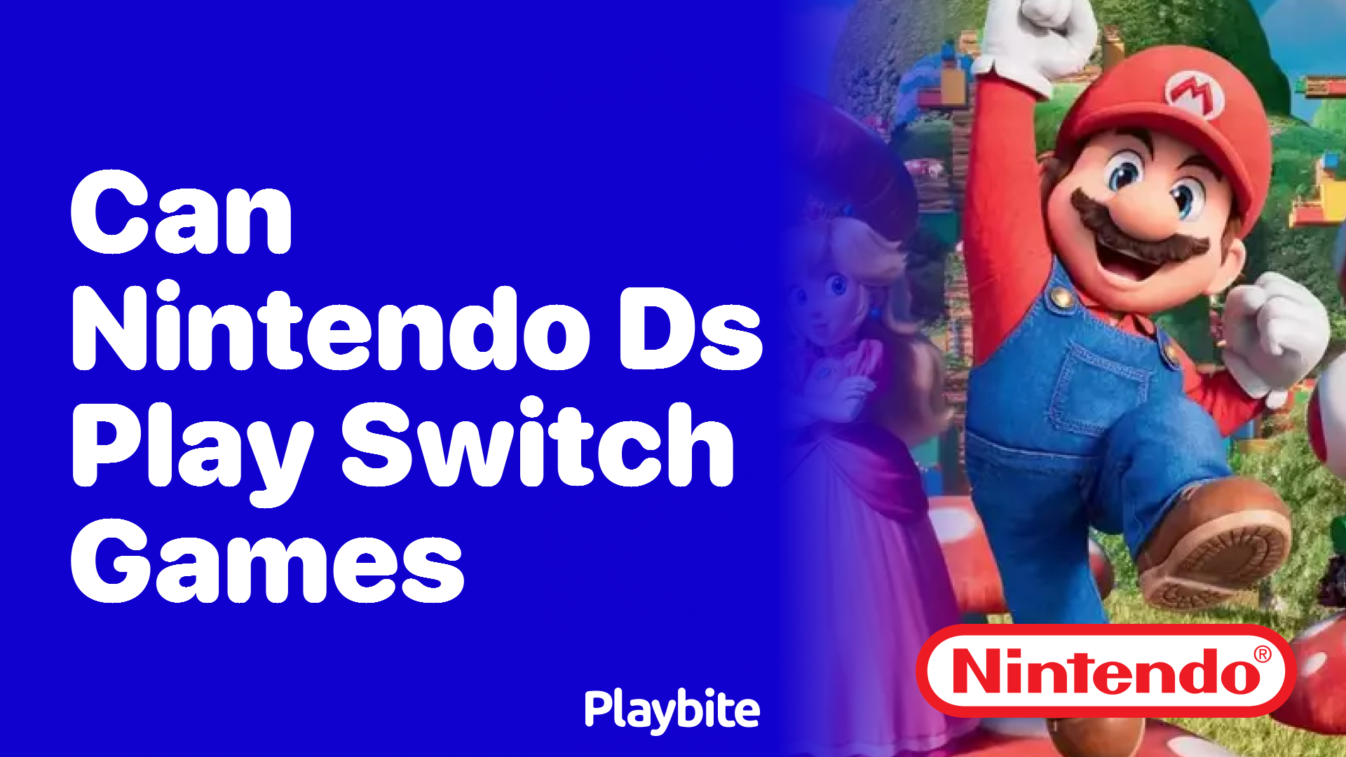 Can Nintendo DS Play Switch Games? Let's Find Out! - Playbite