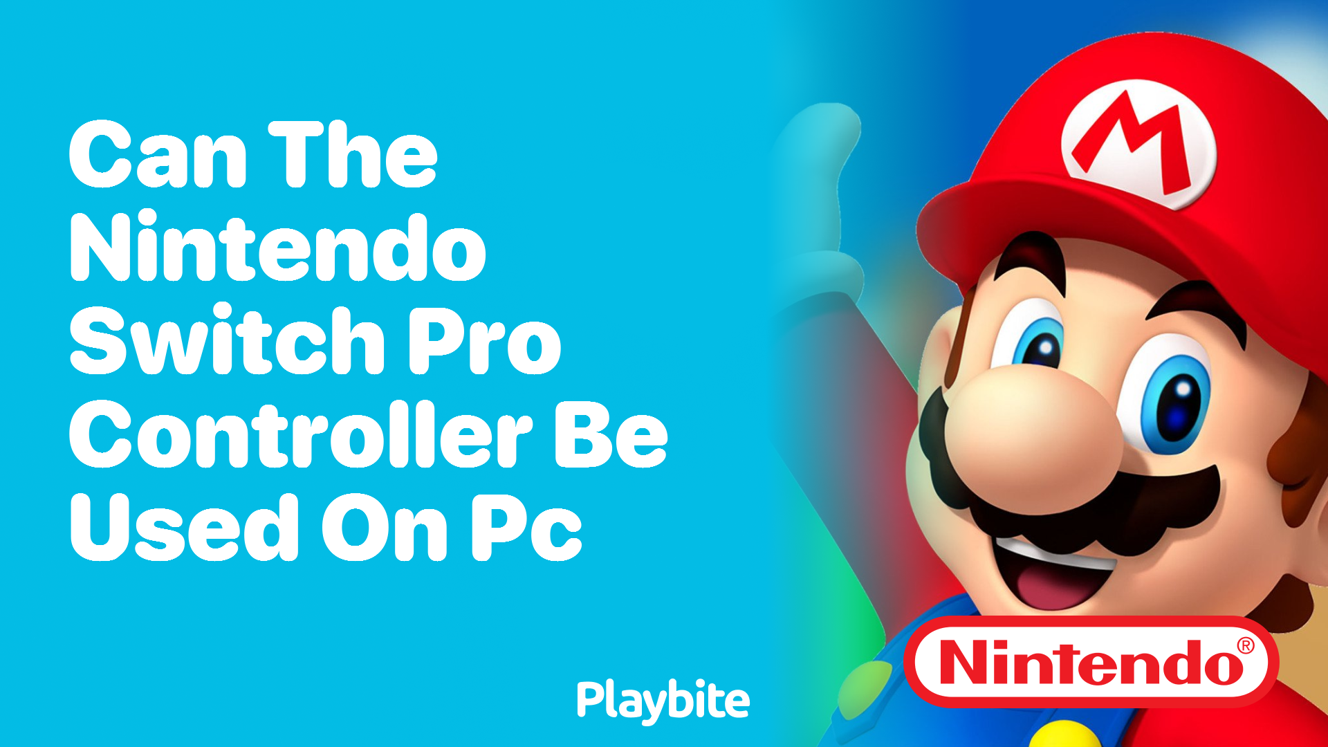 Can the Nintendo Switch Pro Controller Be Used on PC? - Playbite