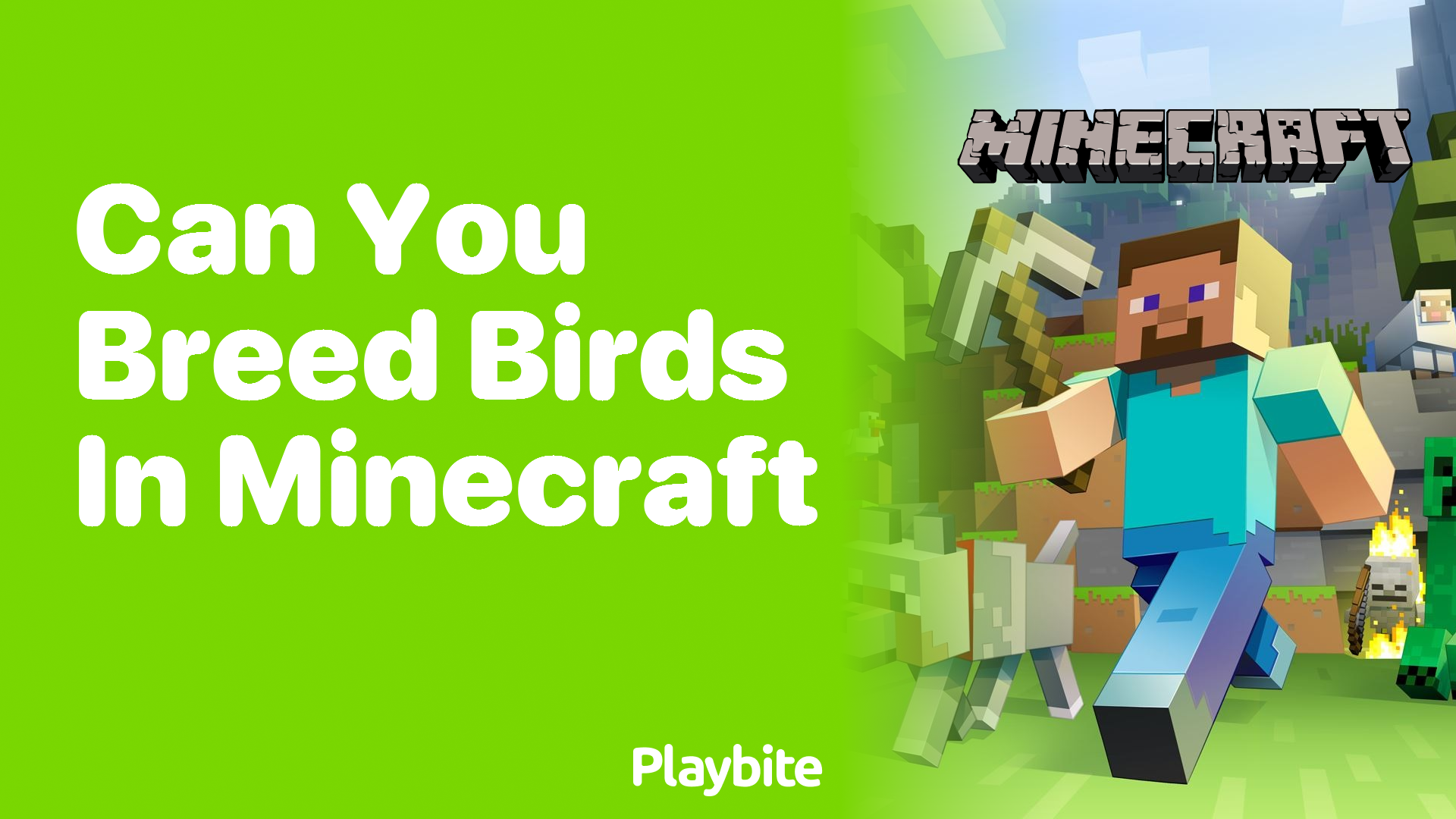 Can You Breed Birds in Minecraft? Find Out Here! - Playbite