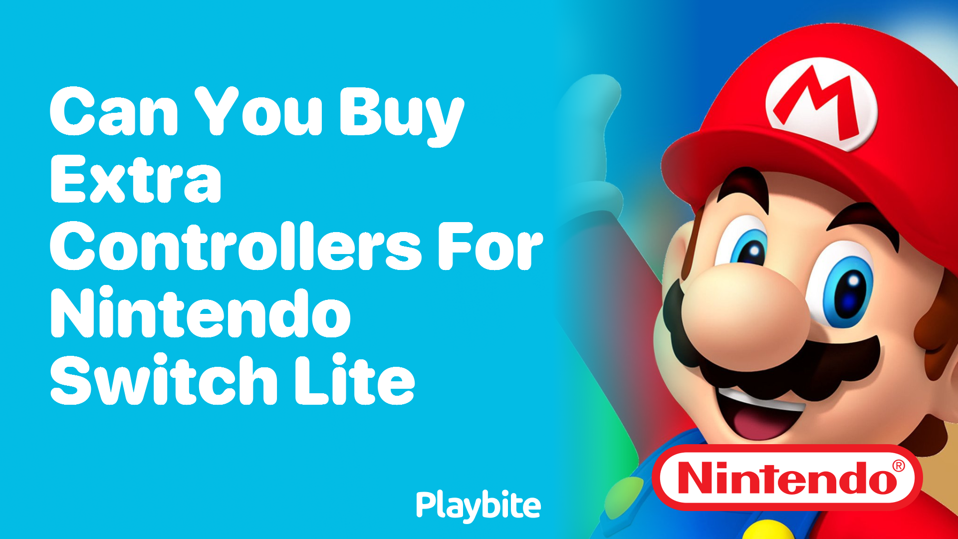 Can You Buy Extra Controllers for Nintendo Switch Lite? - Playbite