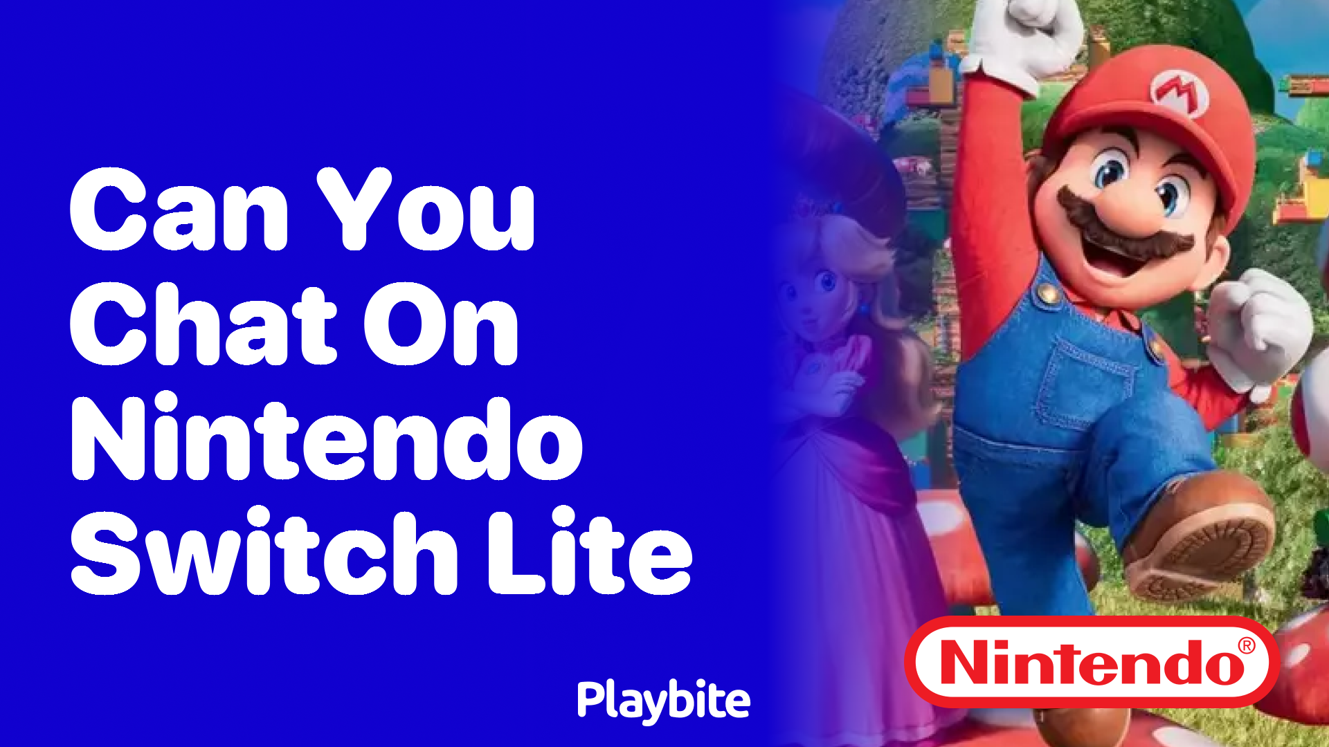 Can You Chat on Nintendo Switch Lite? - Playbite