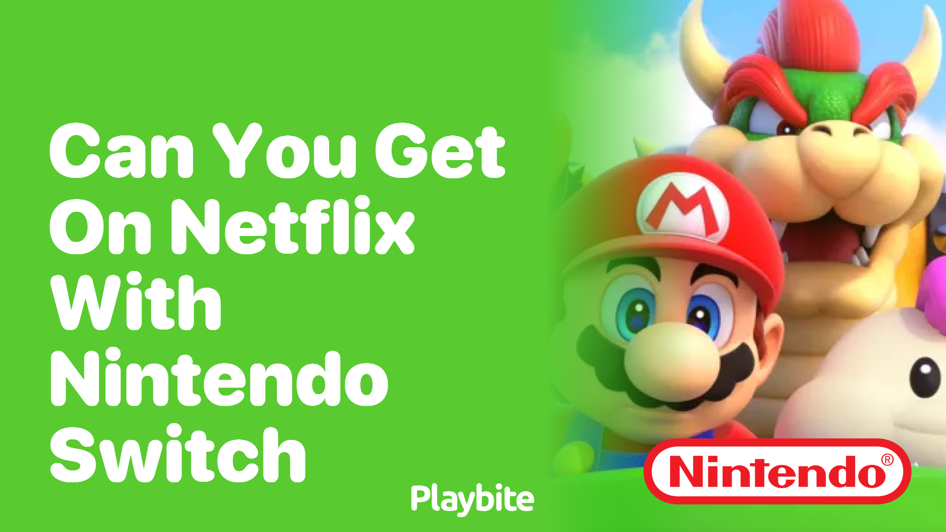 Can You Get on Netflix with Nintendo Switch? - Playbite