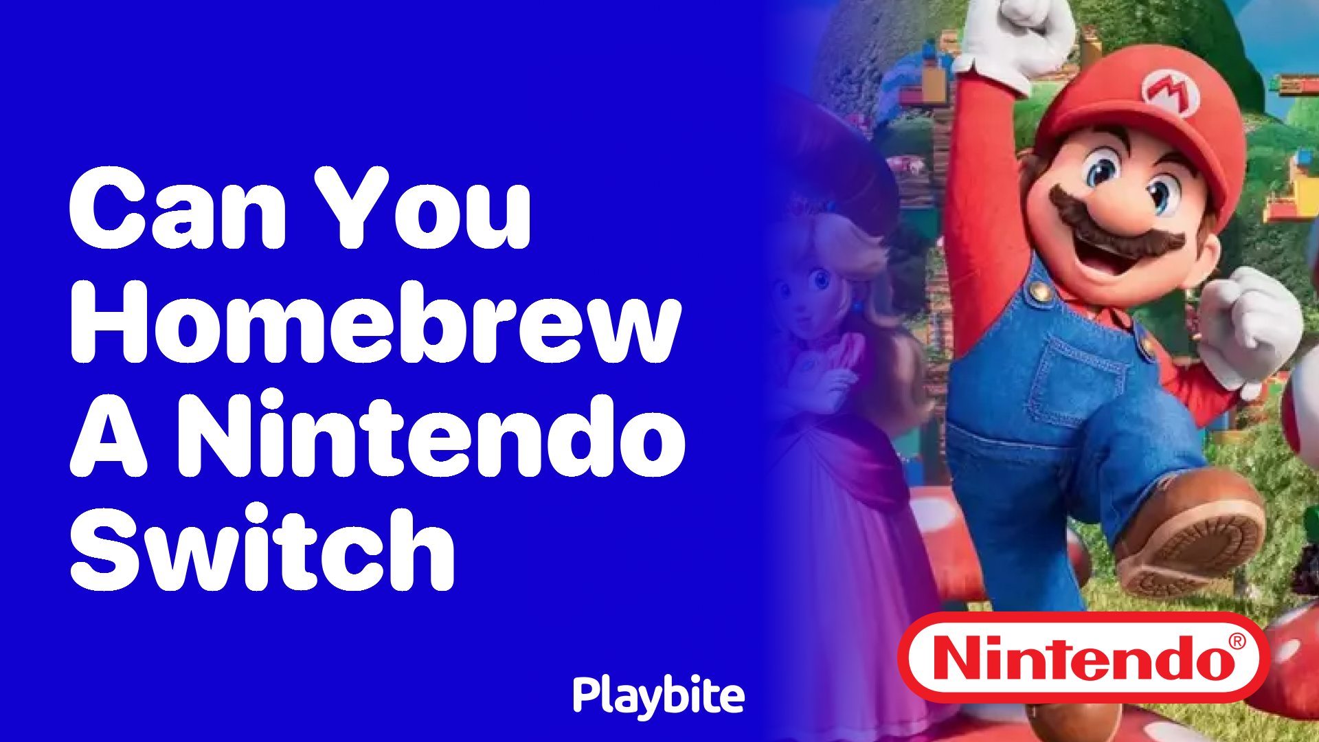 Can You Homebrew a Nintendo Switch? - Playbite