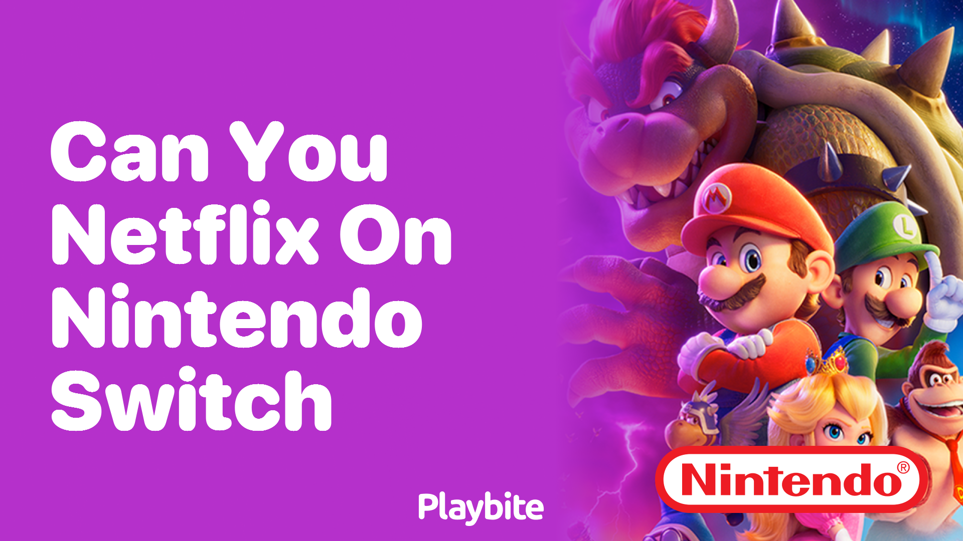 Can You Watch Netflix on Nintendo Switch? - Playbite