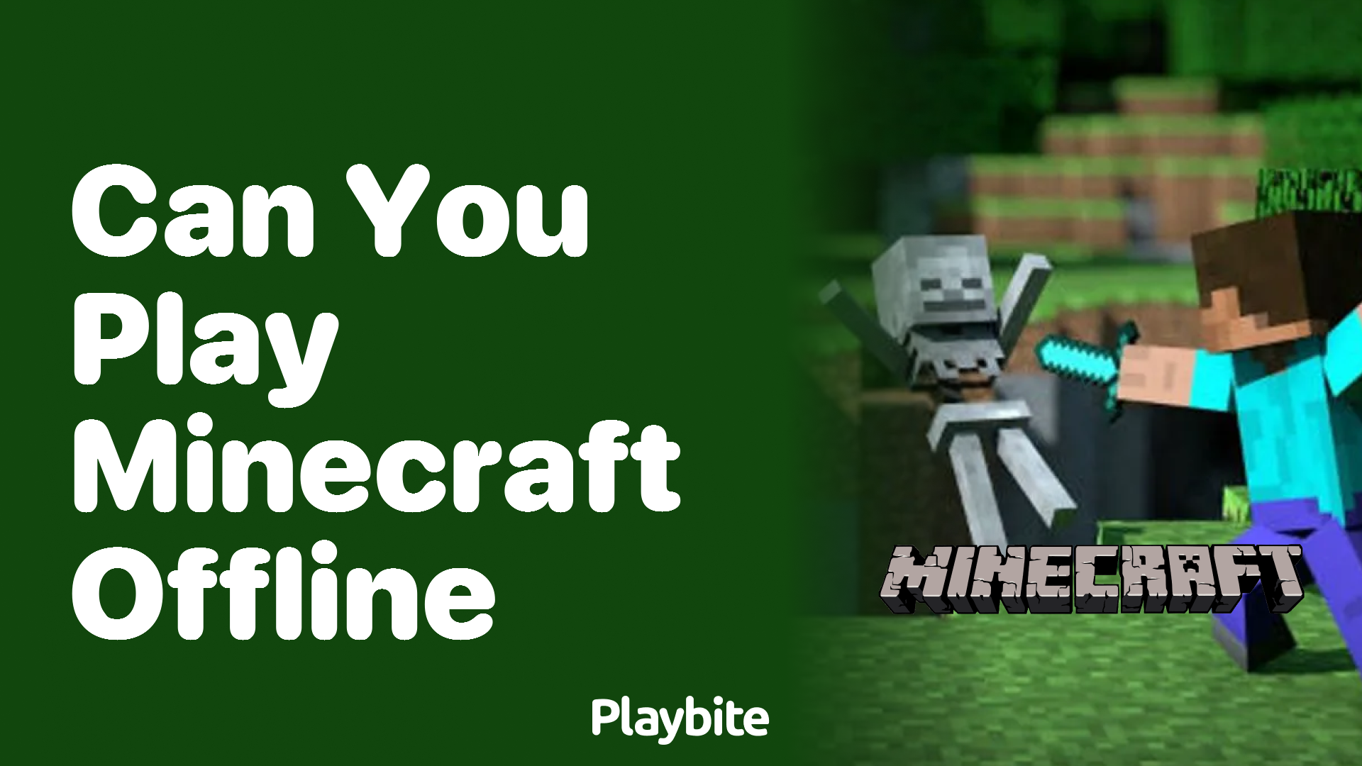 Can You Play Minecraft Offline? Here's What You Need to Know! - Playbite