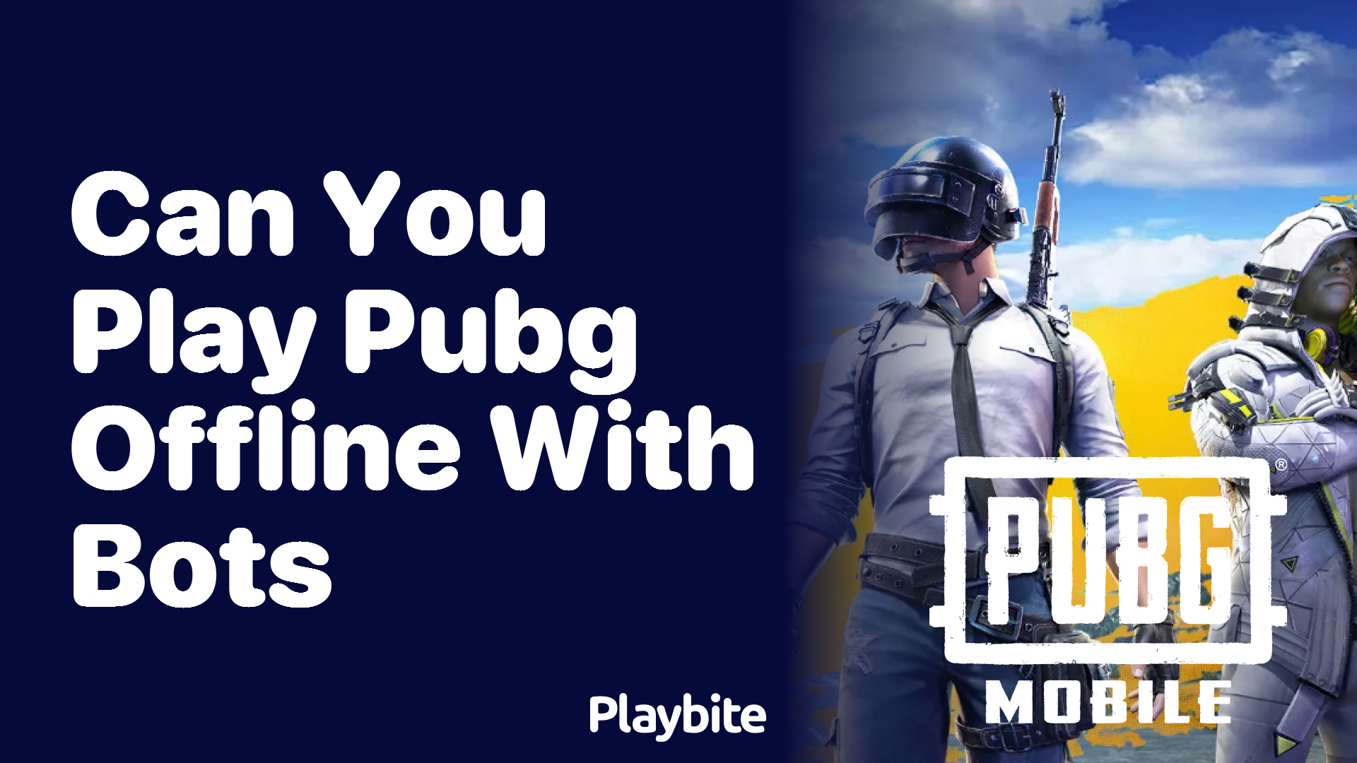 Can You Play PUBG Offline With Bots? - Playbite