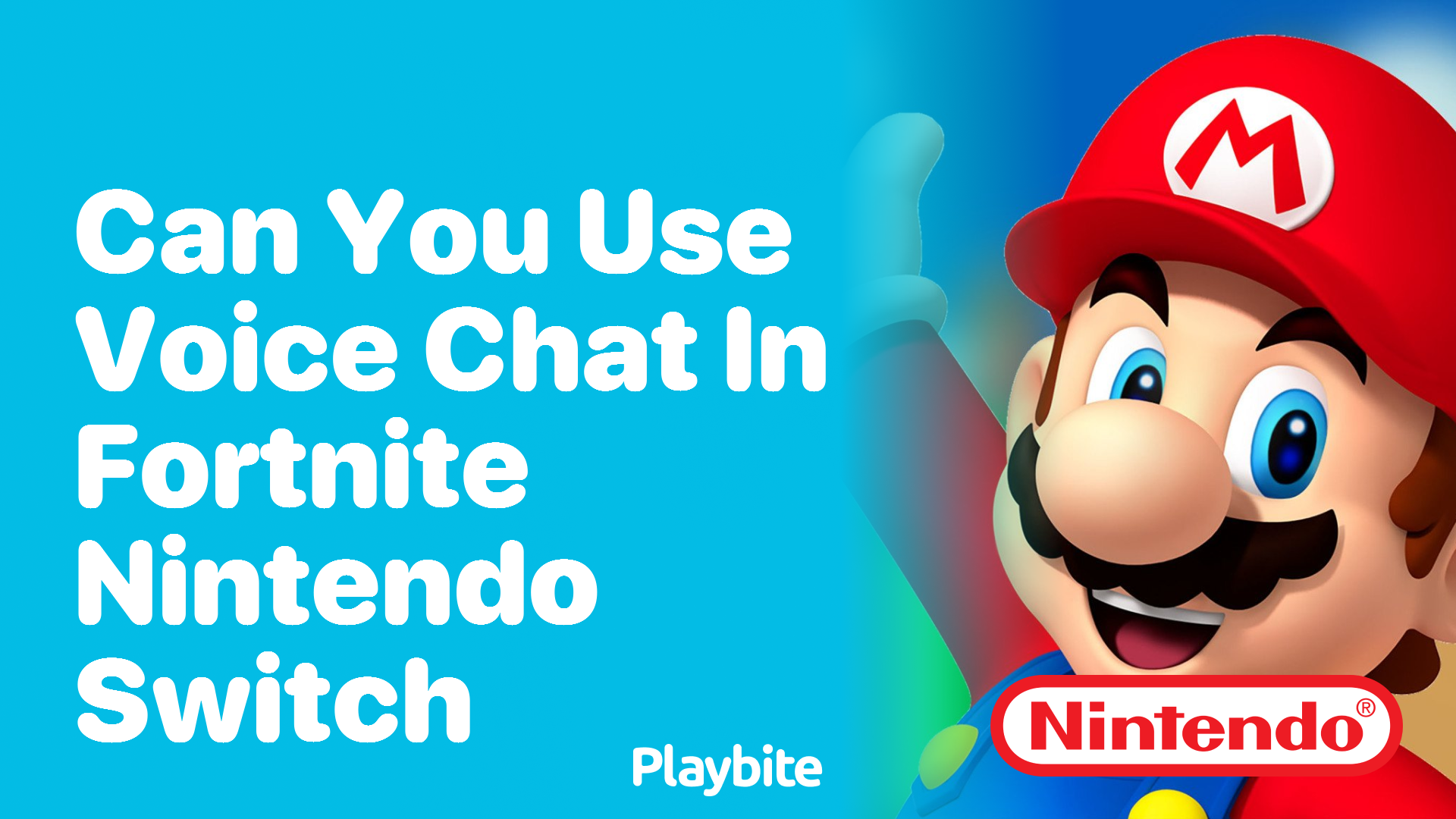 Can You Use Voice Chat in Fortnite on the Nintendo Switch? - Playbite