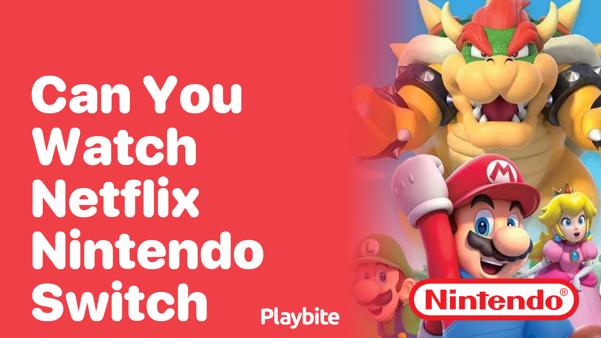 Can You Watch Netflix on Nintendo Switch? - Playbite