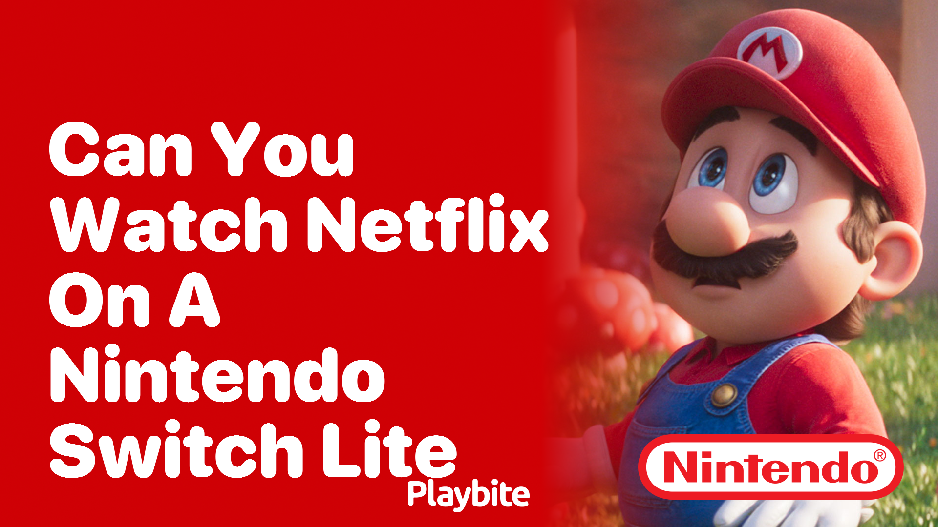Can You Watch Netflix on a Nintendo Switch Lite? - Playbite