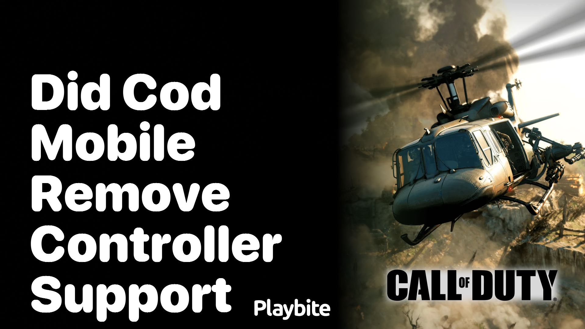 Did Cod Mobile Remove Controller Support Playbite
