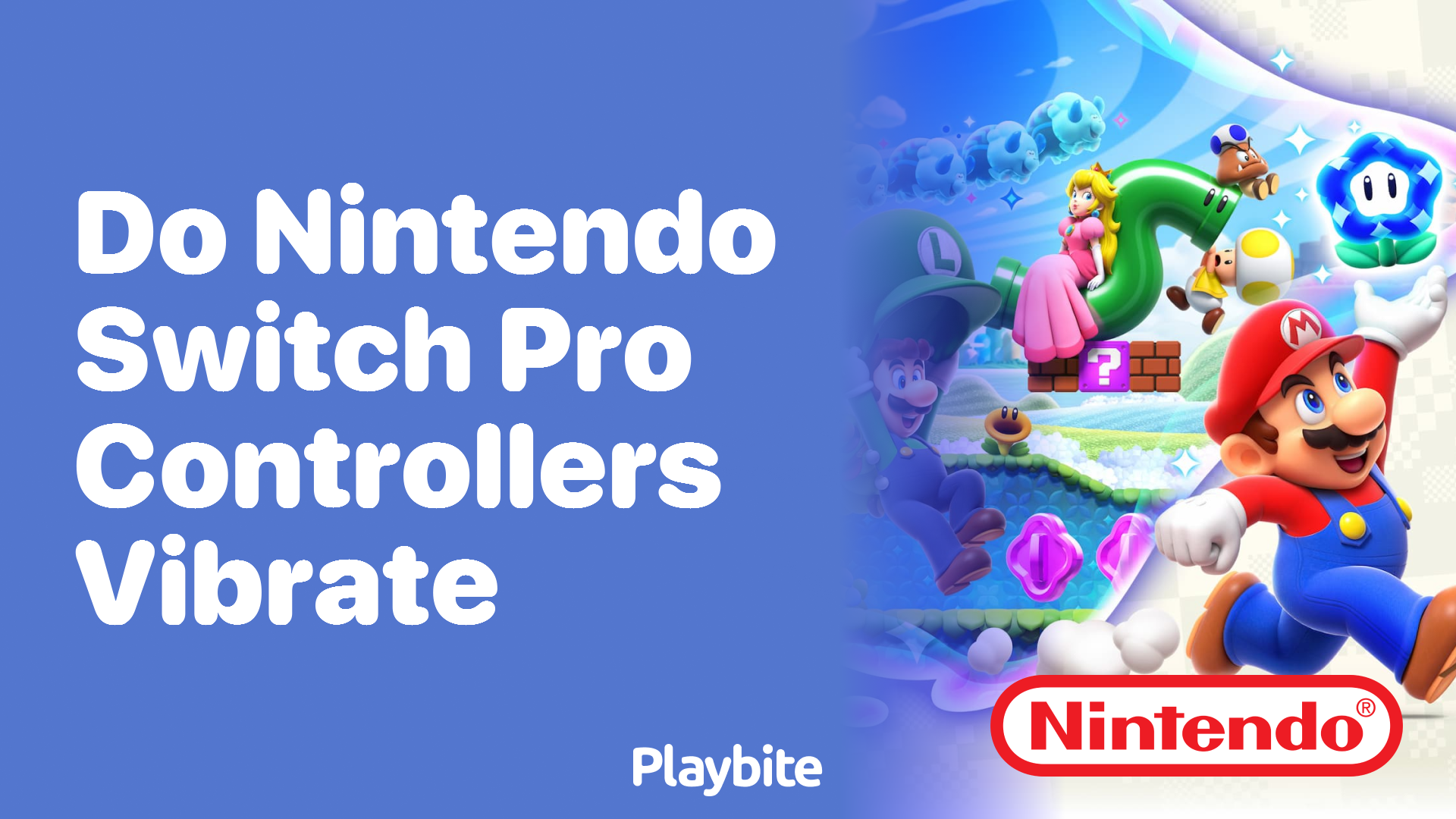 Do Nintendo Switch Pro Controllers Vibrate? Unveiling the Features - Playbite