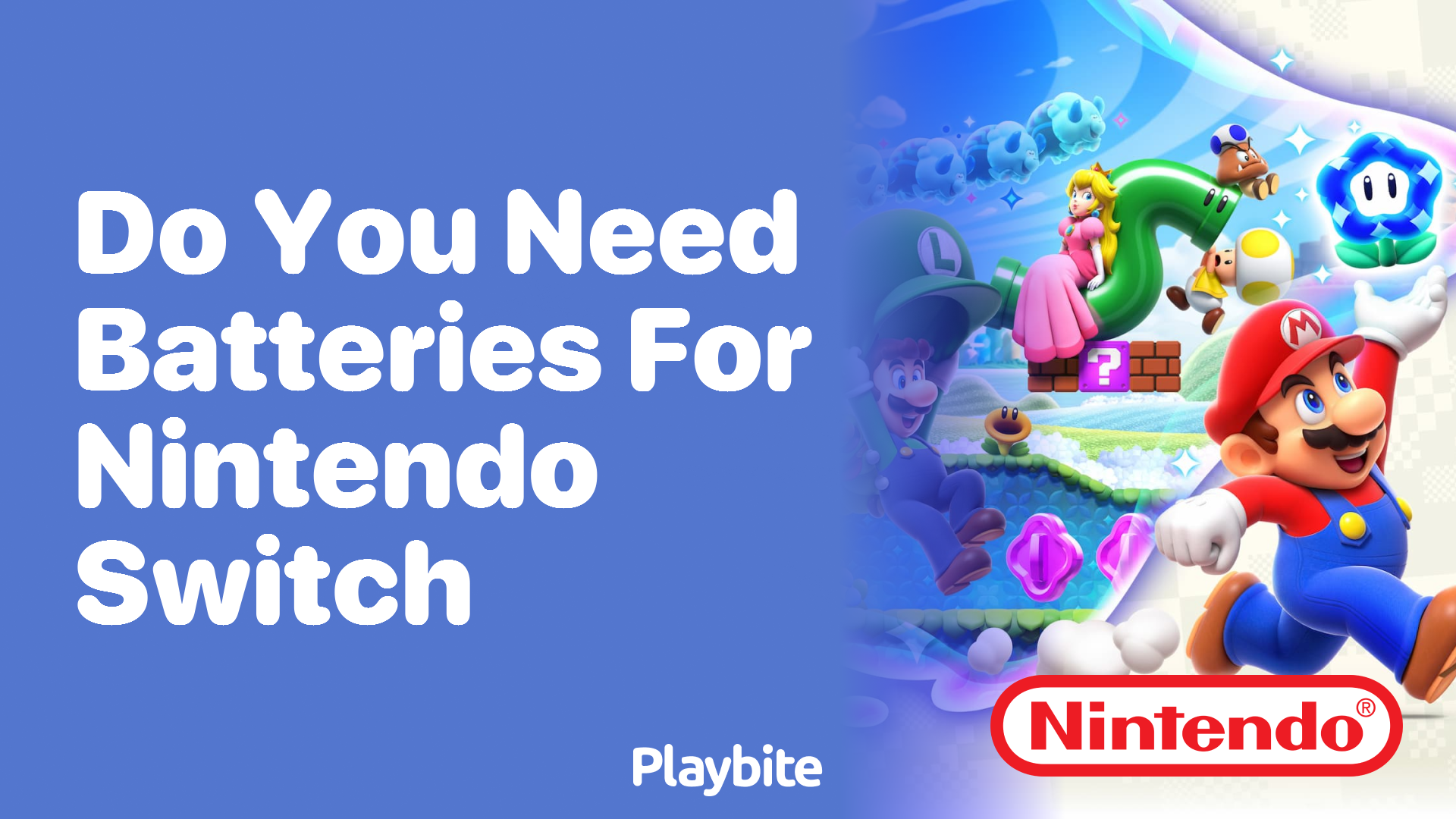 Do You Need Batteries for Nintendo Switch? - Playbite