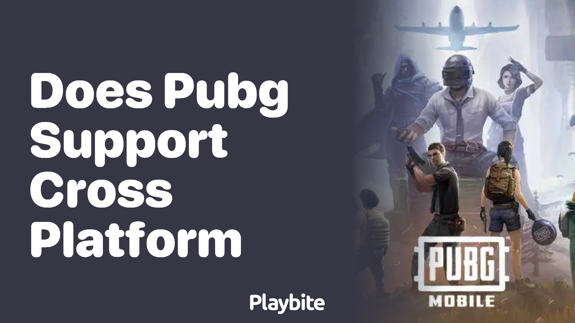 Does PUBG Support Cross-Platform Play? - Playbite