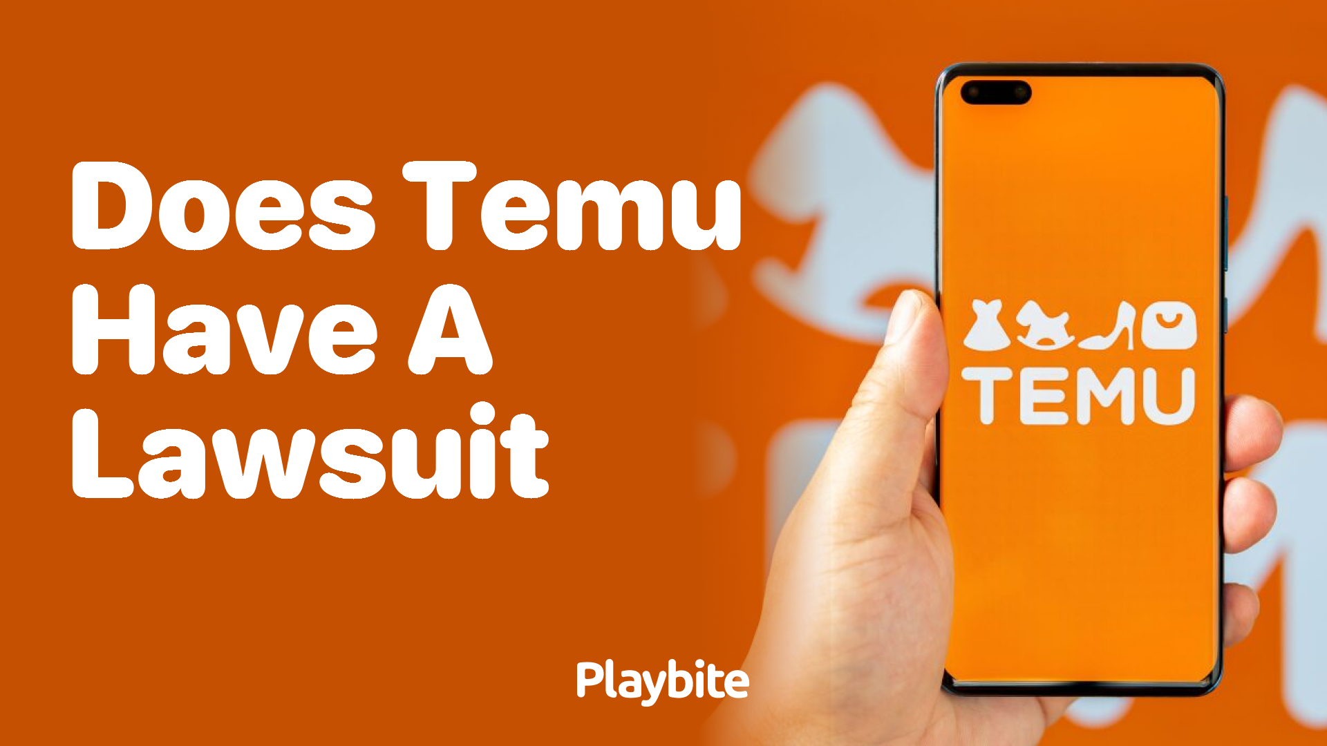 Does Temu Have a Lawsuit? - Playbite