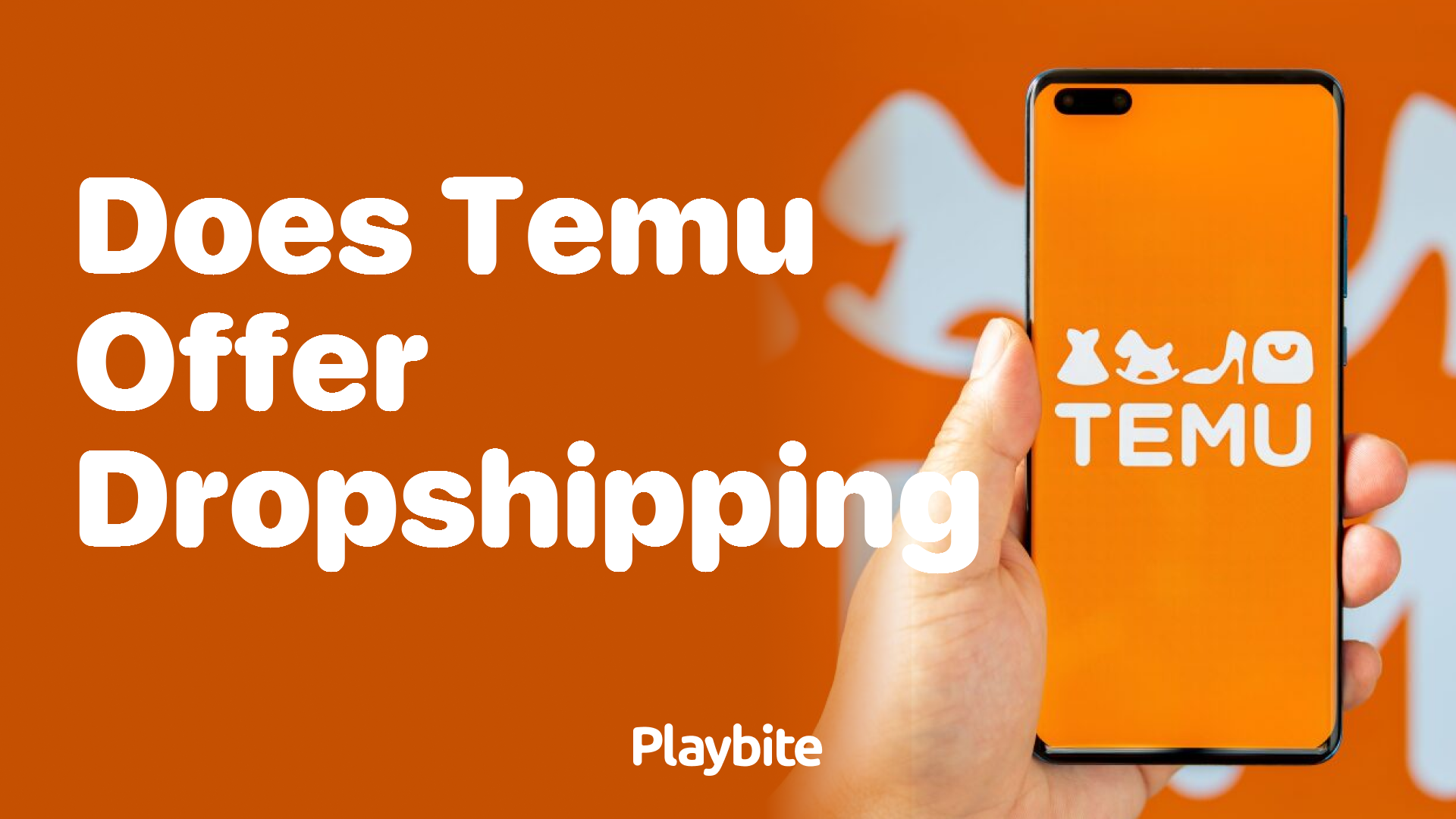 Does Temu Offer Dropshipping? Unveiling the Truth - Playbite