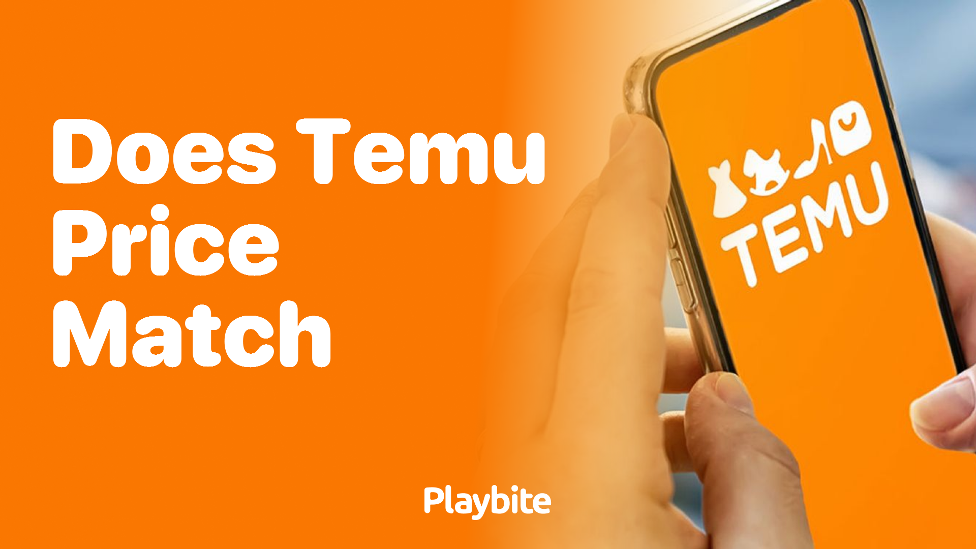 Does Temu Offer Price Matching? - Playbite