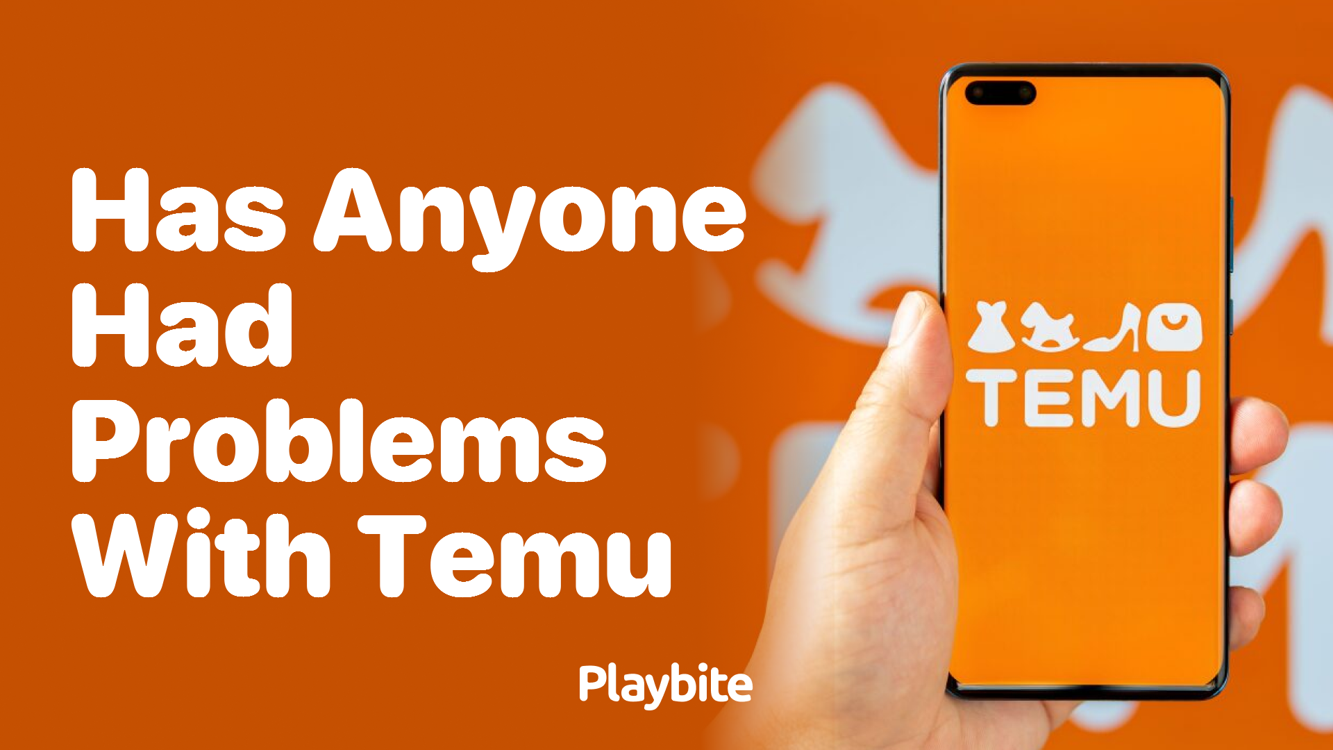 Has Anyone Had Problems With Temu? - Playbite