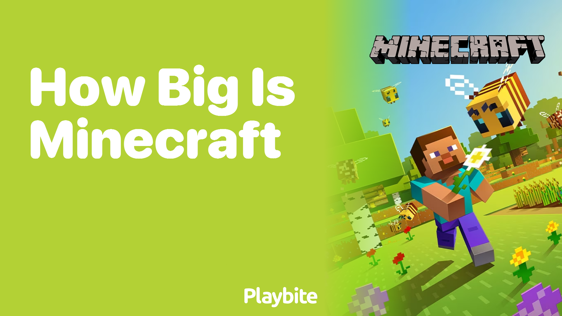 How Big is Minecraft? Unveiling the Scale of This Blocky Universe ...