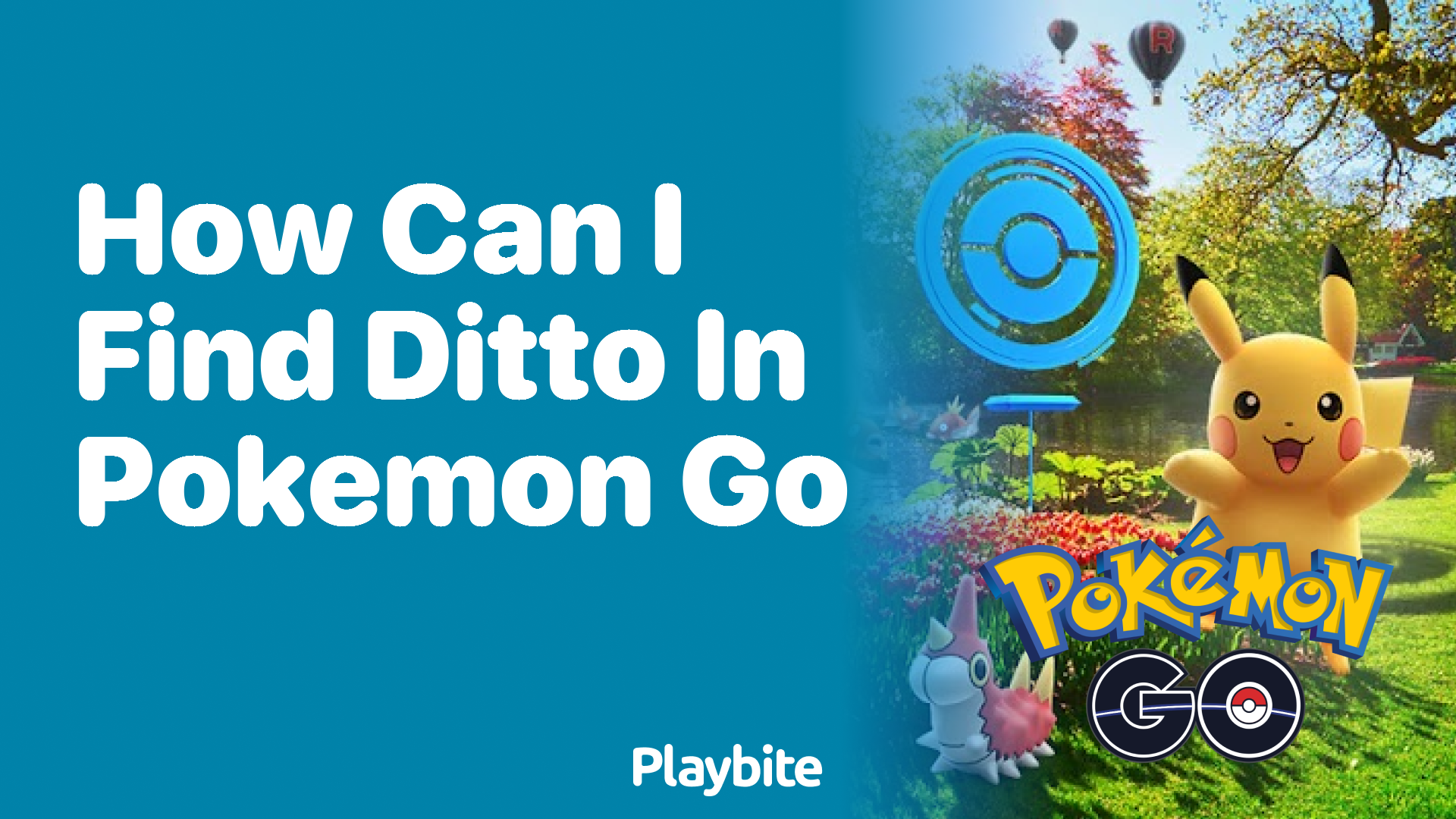 How Can I Find Ditto in Pokemon GO? - Playbite
