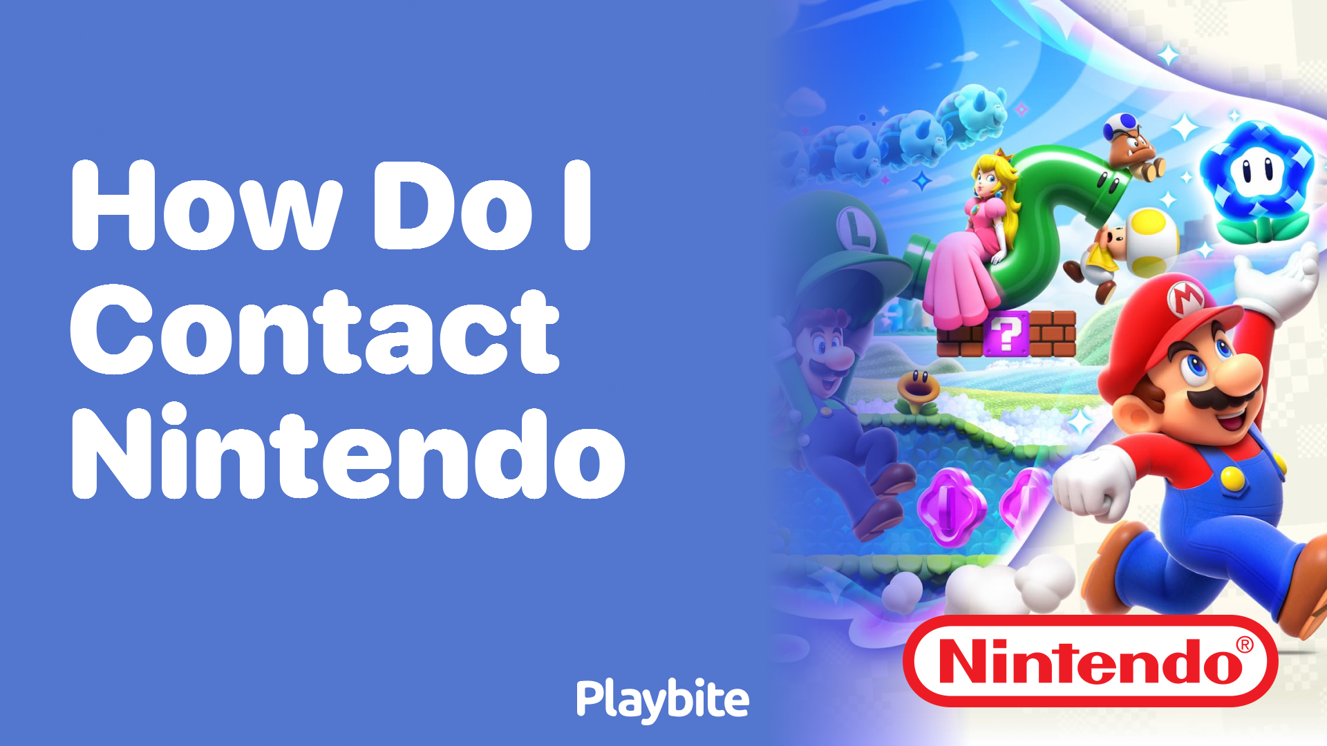 How Do I Contact Nintendo? Your Guide to Getting in Touch - Playbite