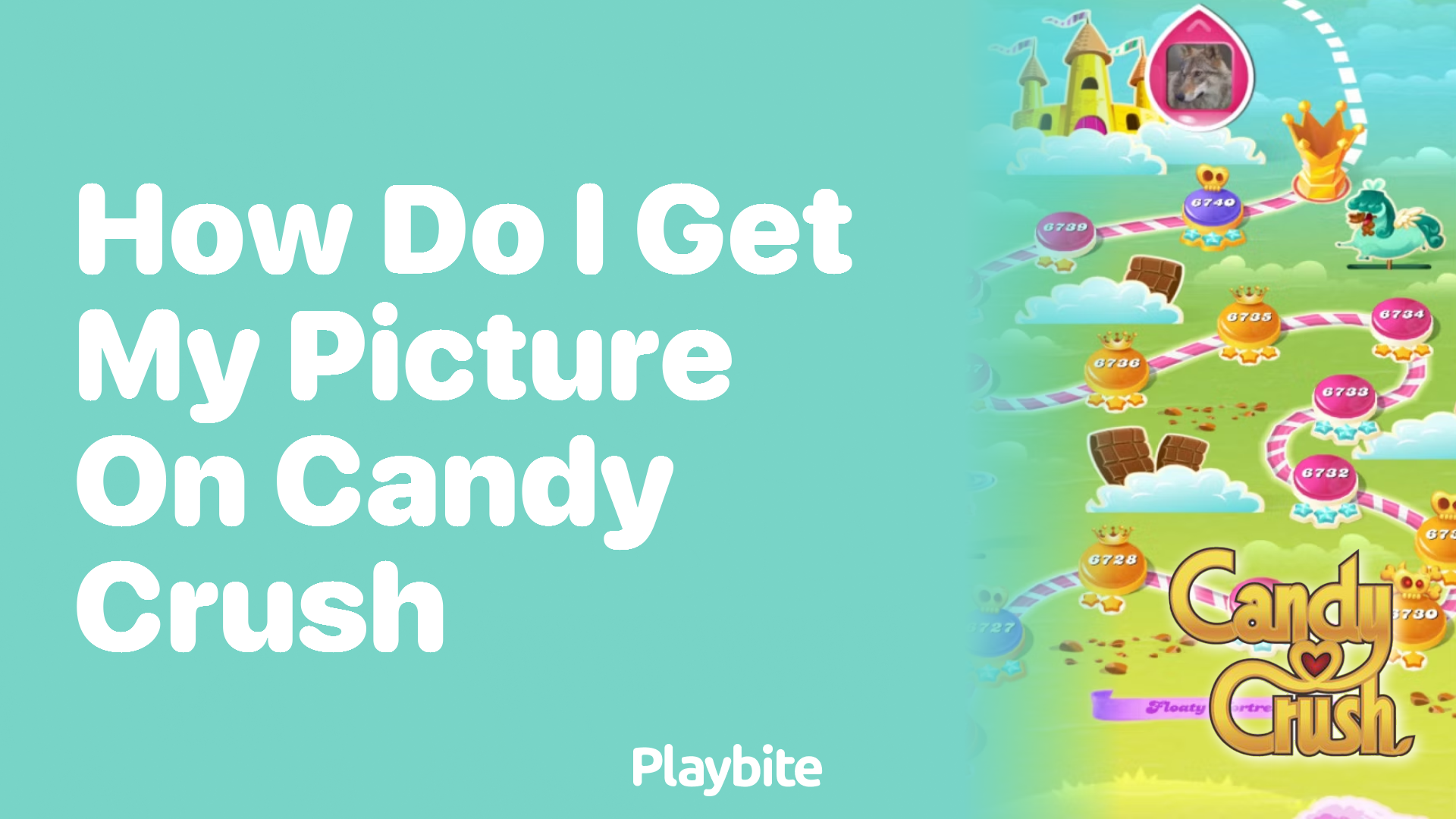 How Do I Get My Picture on Candy Crush? - Playbite