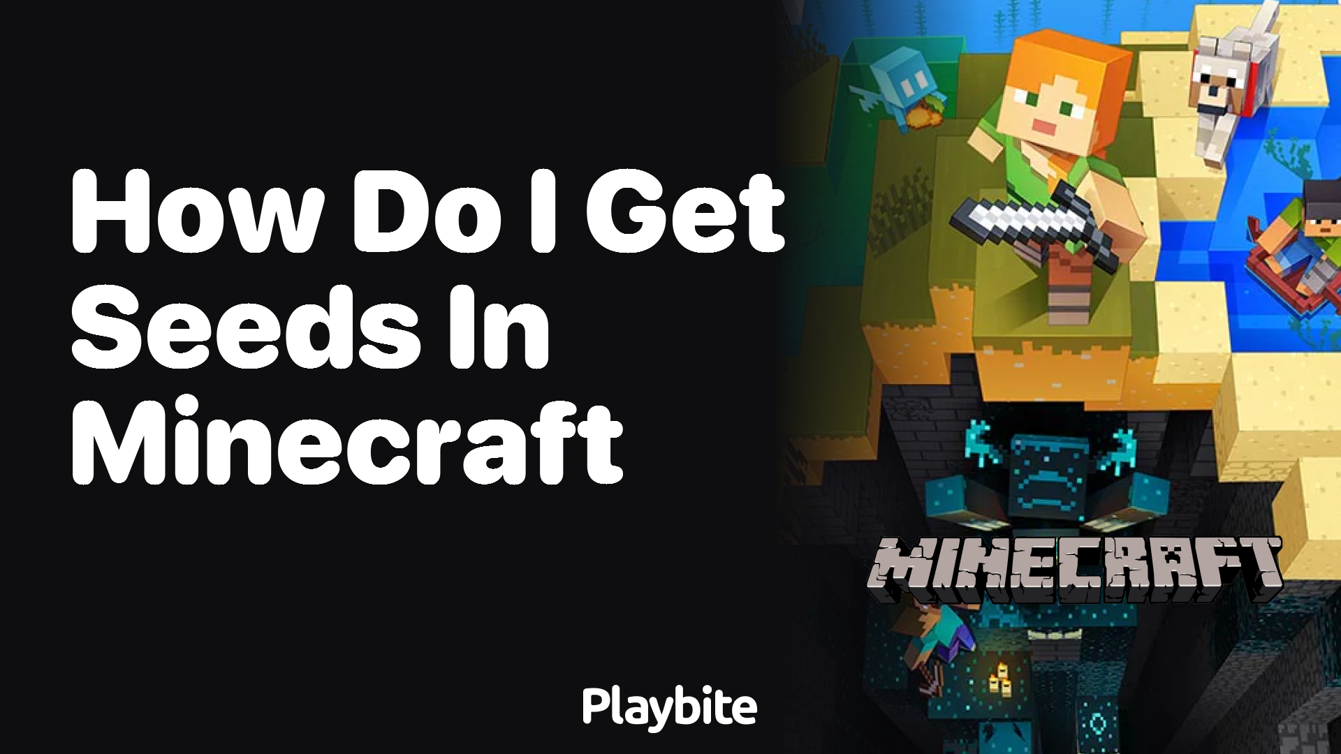 How Do I Get Seeds in Minecraft? - Playbite