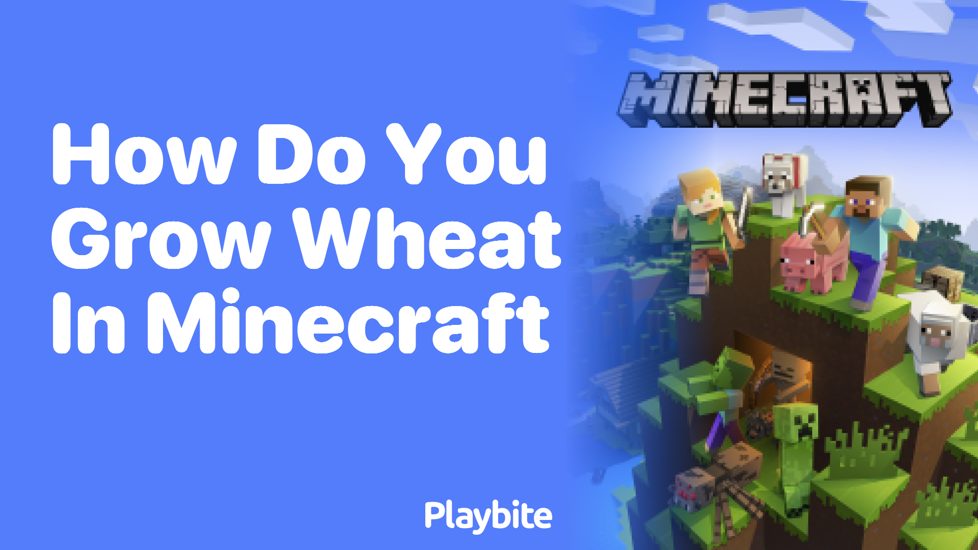 How do you grow wheat in Minecraft? - Playbite