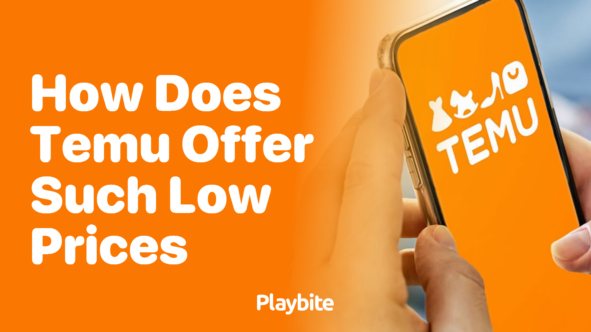 How Does Temu Offer Such Low Prices? Discover the Secret Behind Their ...