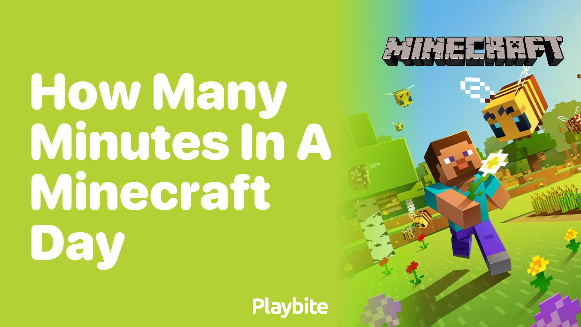 How Many Minutes Are in a Minecraft Day? - Playbite