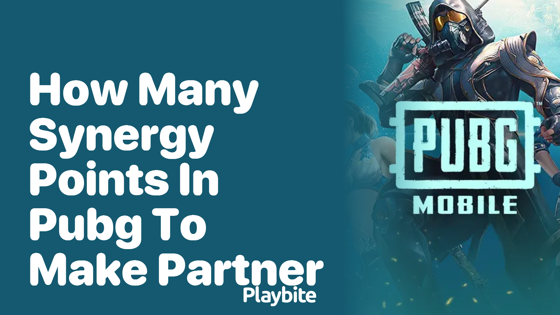 How Many Synergy Points in PUBG to Make Partner? - Playbite