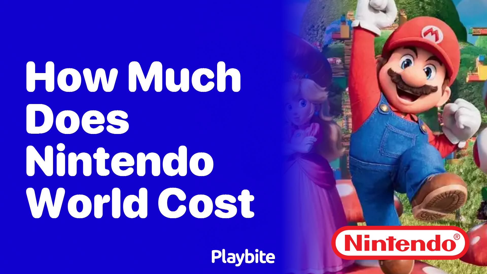 How Much Does Nintendo World Cost? - Playbite