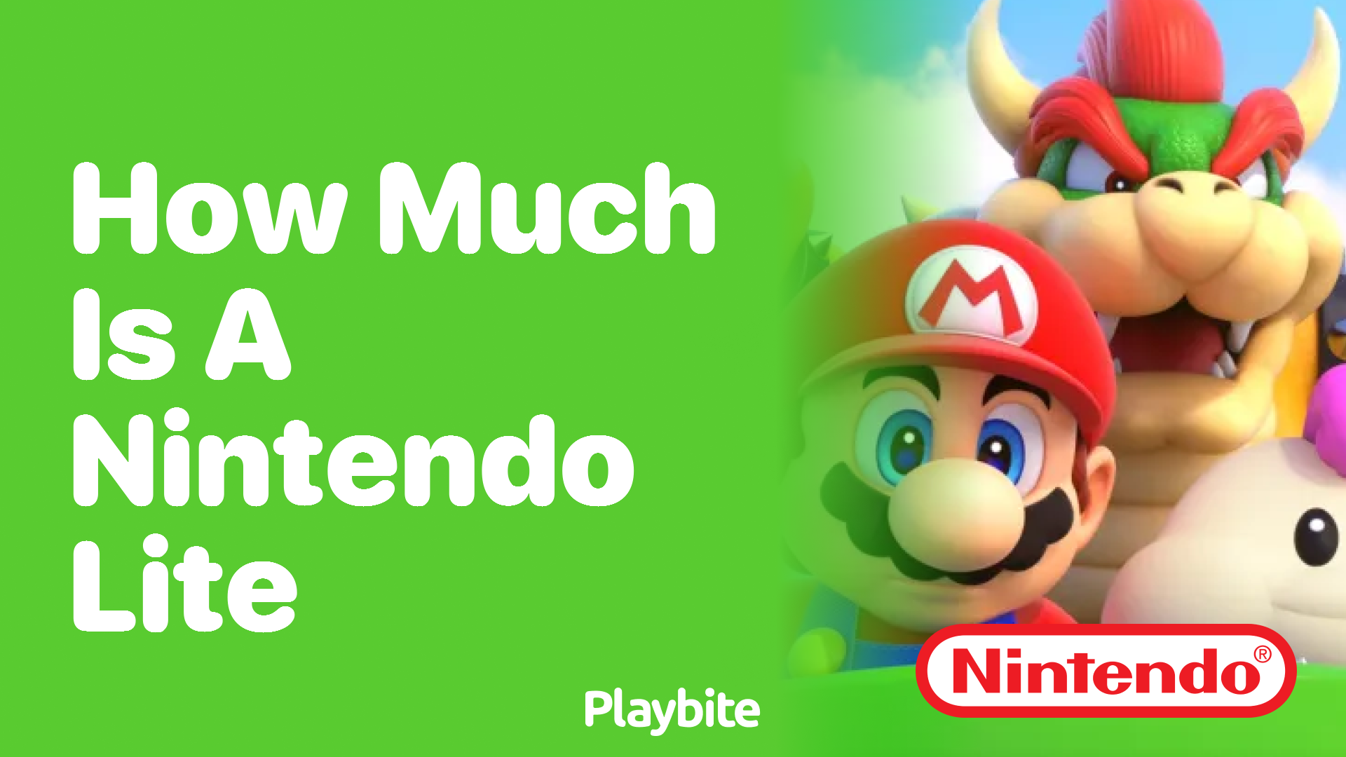 How Much Is a Nintendo Switch Lite? - Playbite