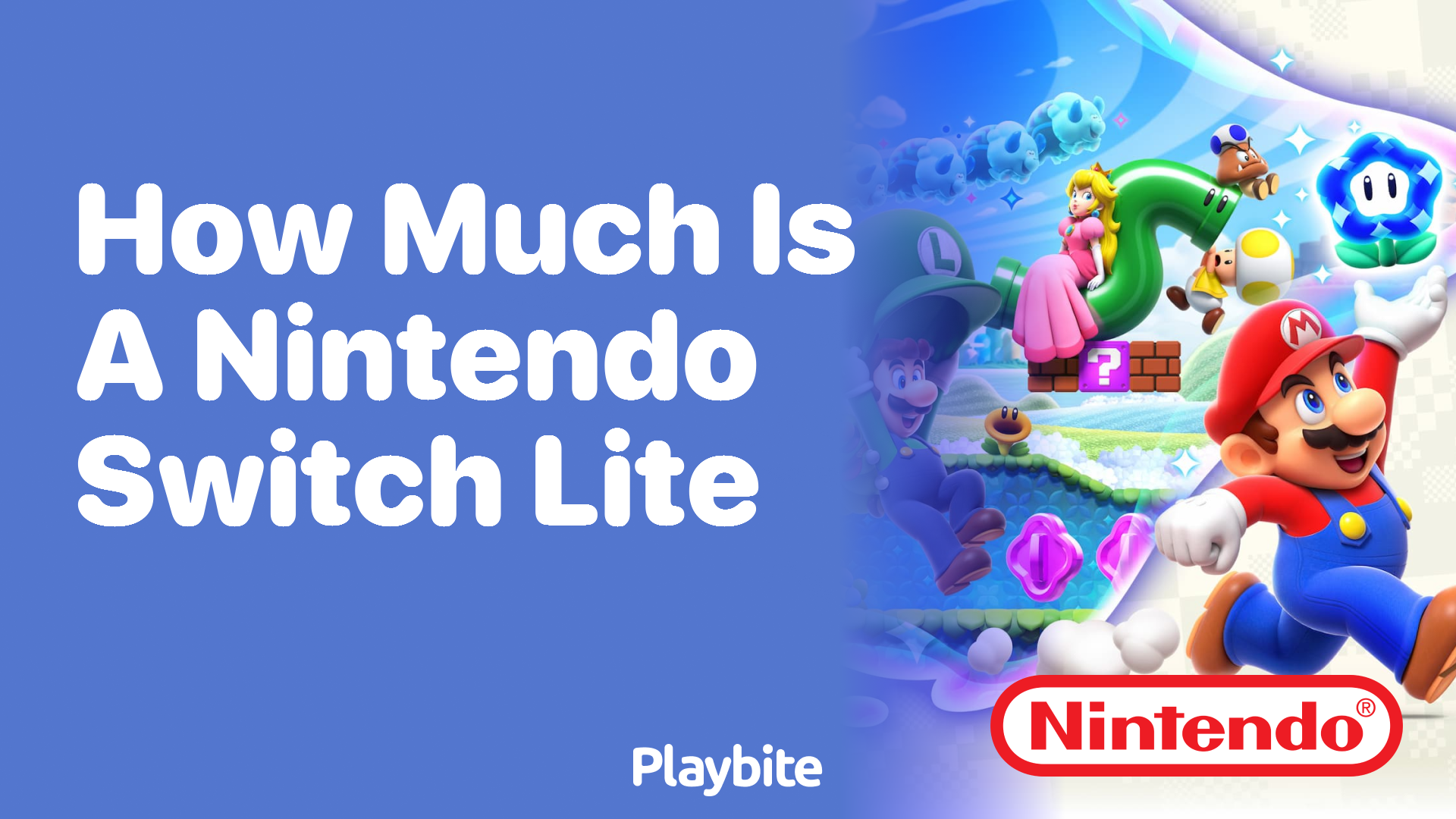 How Much Does a Nintendo Switch Lite Cost? - Playbite