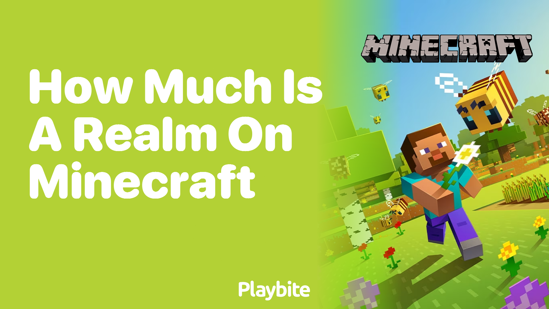 How Much Does a Realm Cost on Minecraft? - Playbite